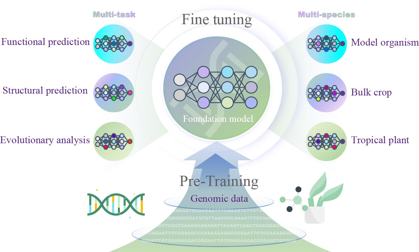 Artificial intelligence-driven plant bio-genomics research a new era