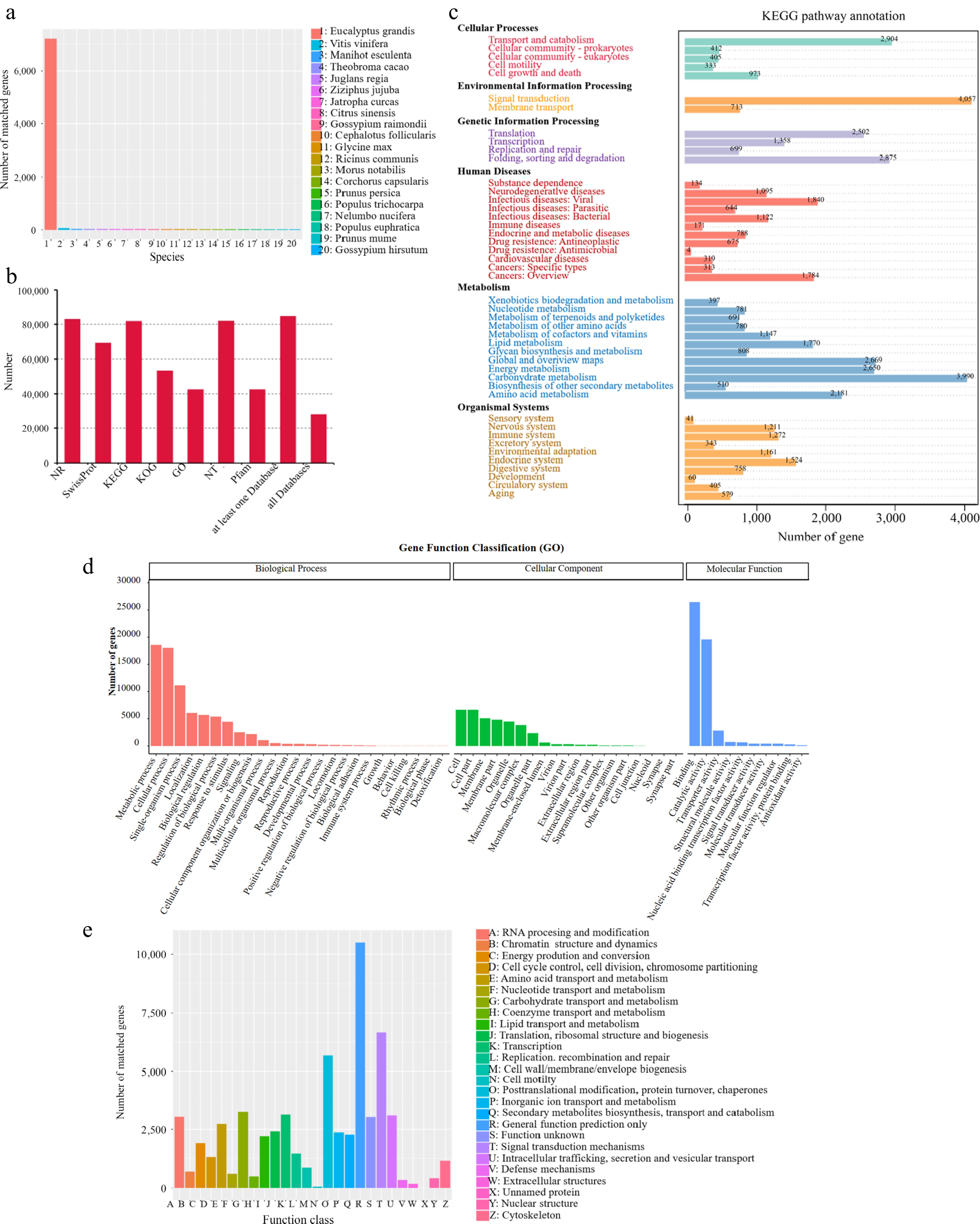 Long-read transcriptome sequencing for the in-depth understanding of anthocyanin biosynthesis in ...