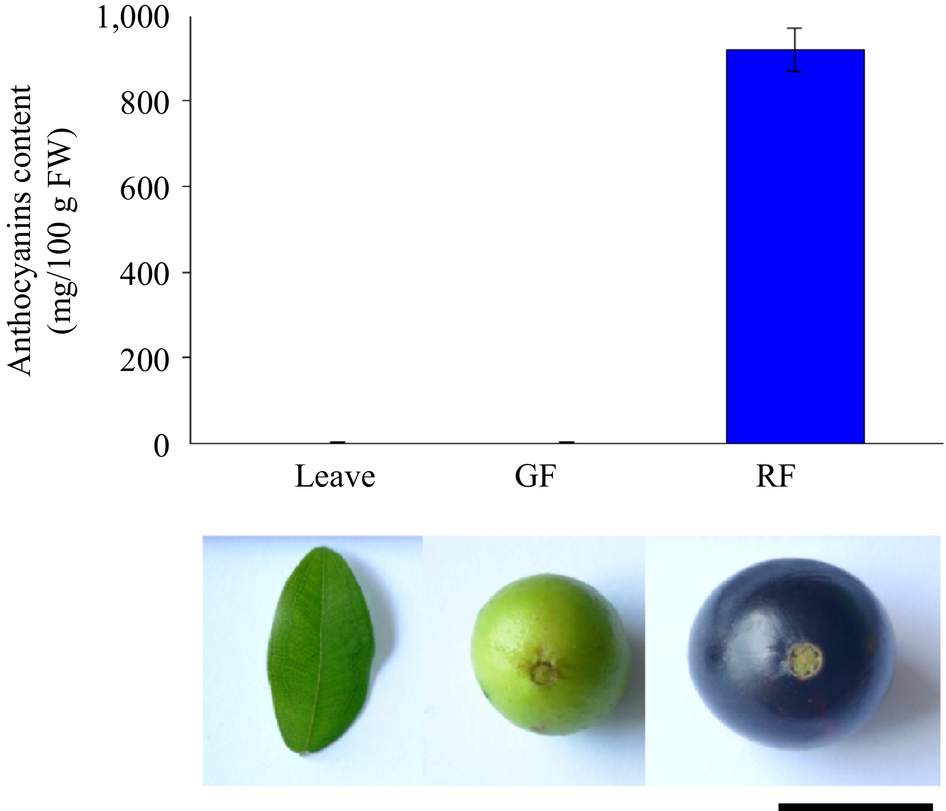 Long-read transcriptome sequencing for the in-depth understanding of ...