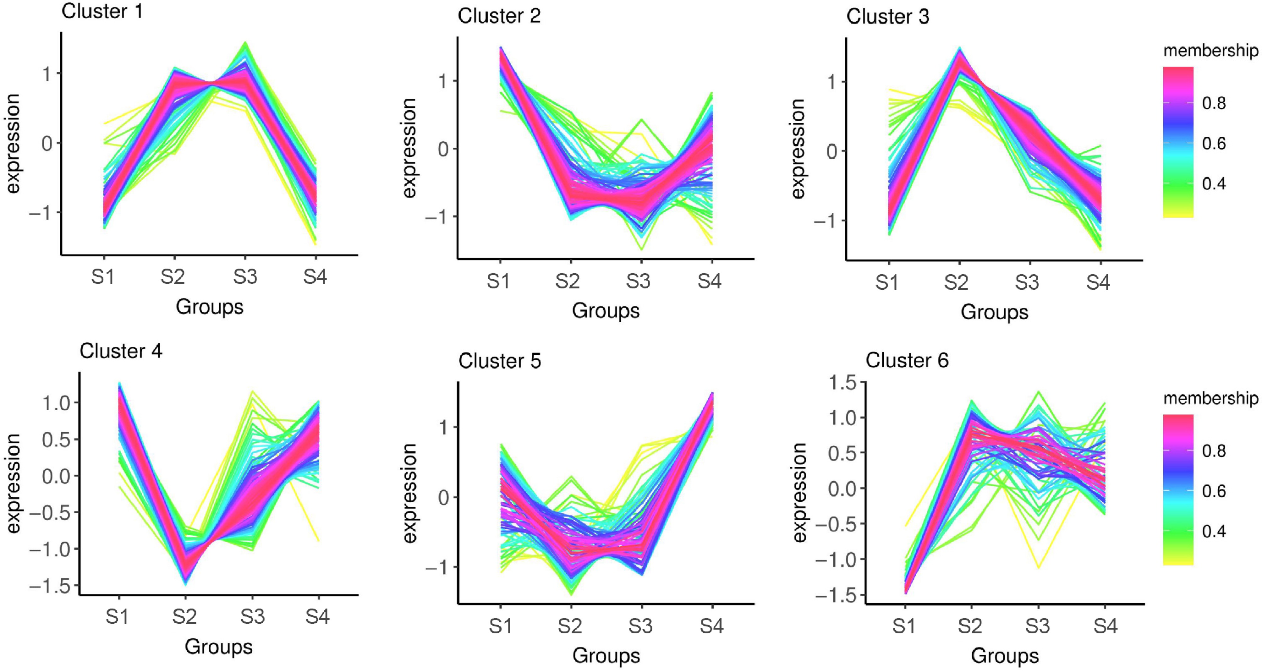 Comparative phosphoproteomics analysis of terminal buds at different ...