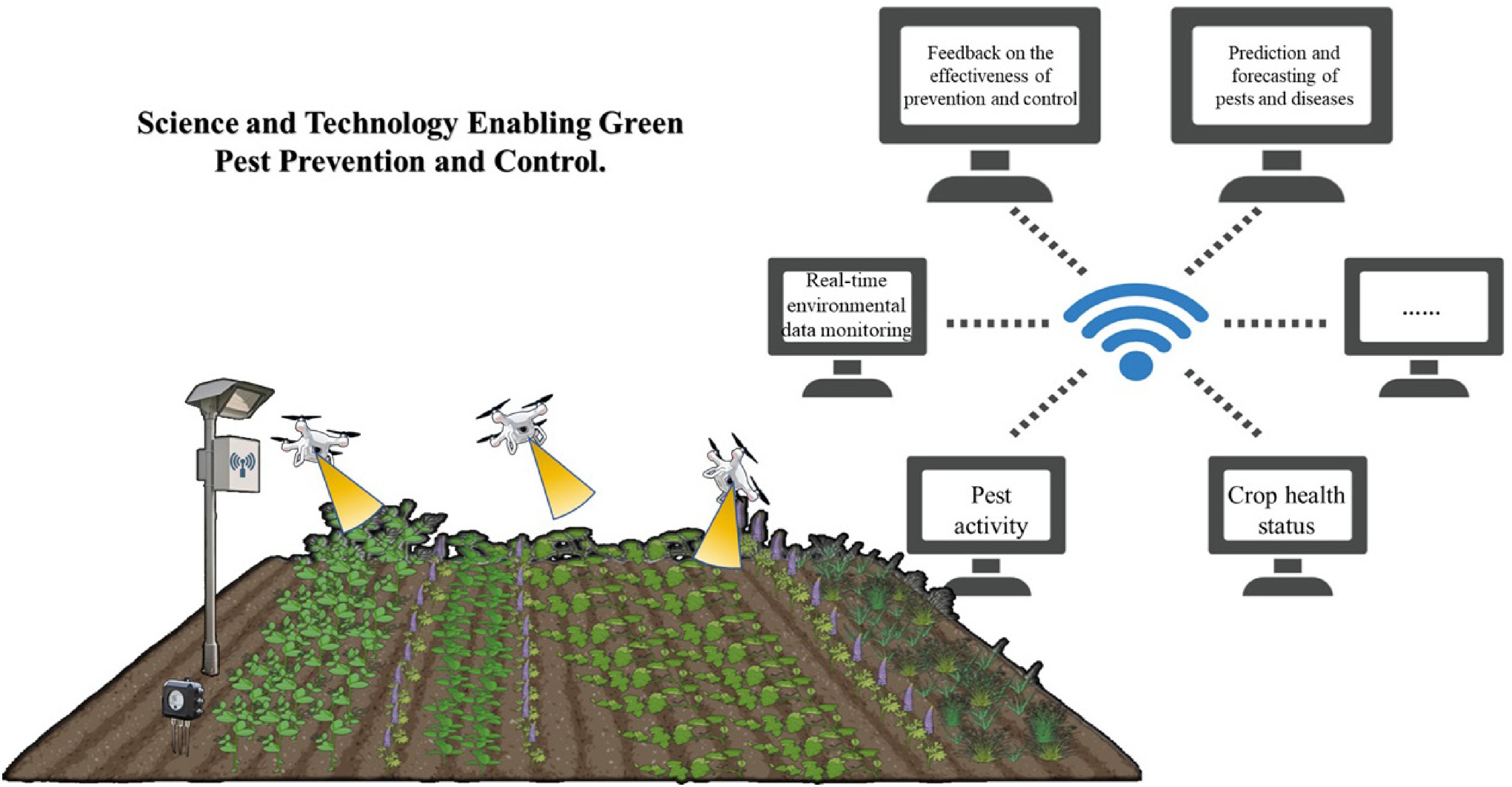 Sustainable development of Hainan's melon and vegetable industry new ...