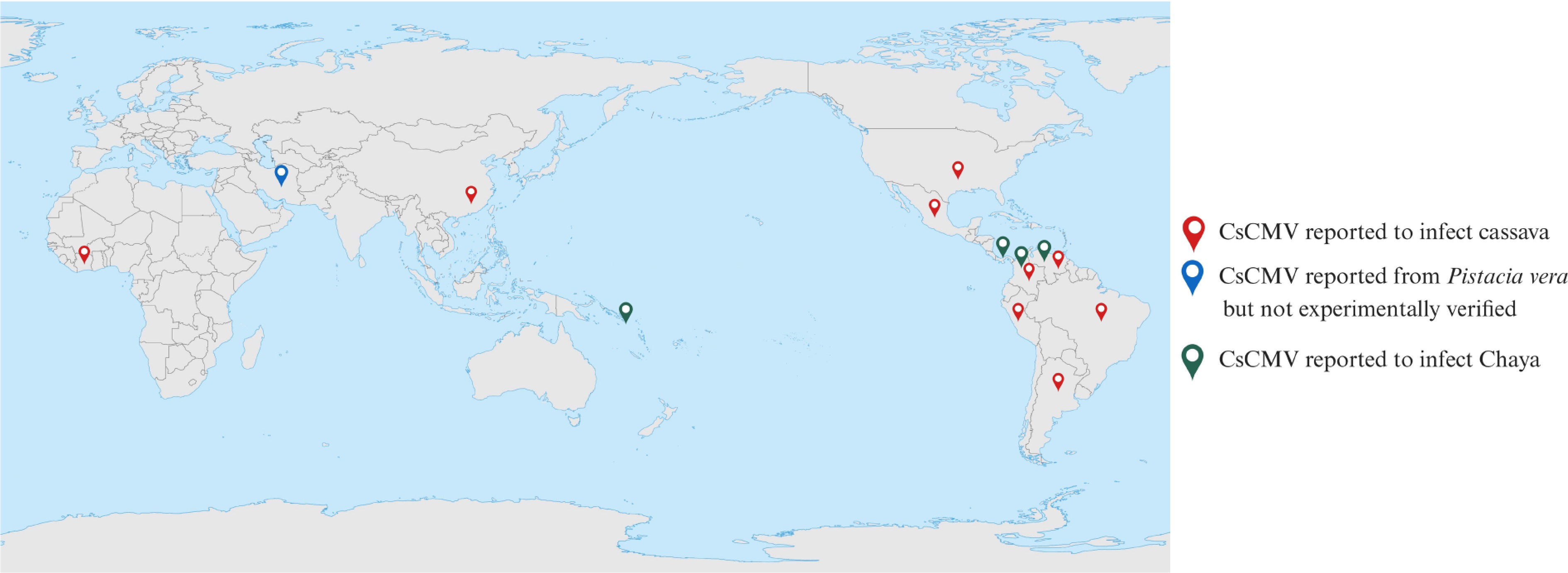 Cassava common mosaic virus (CsCMV) recent advances and future directions