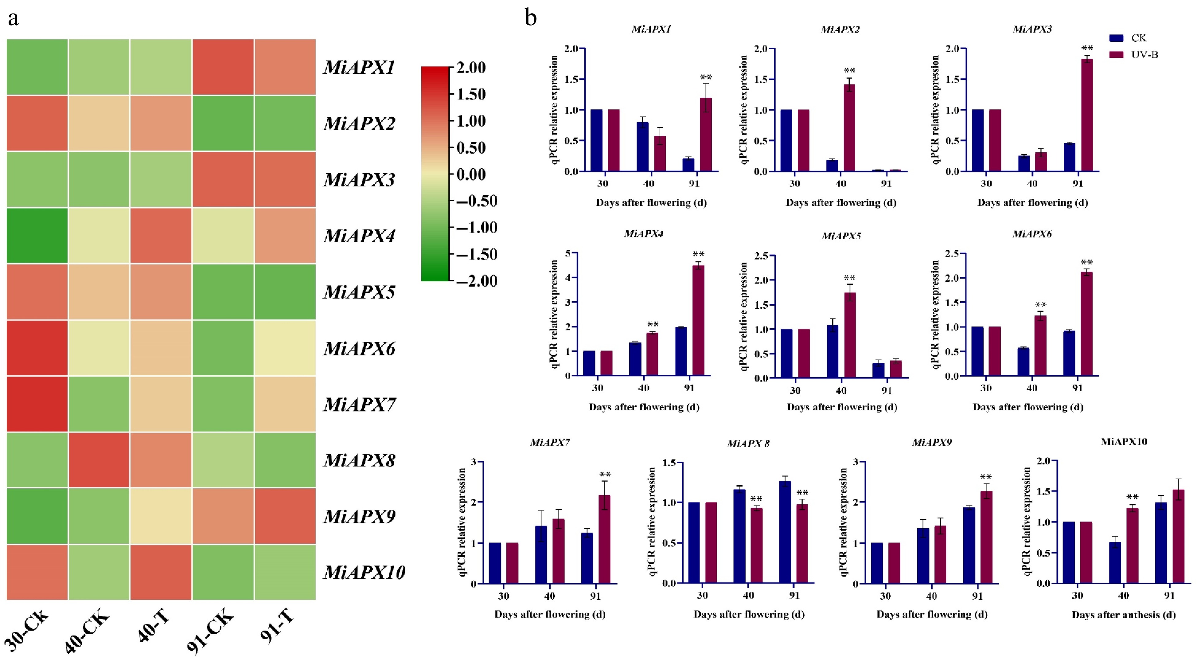 Genome-wide identification and expression analysis of the ascorbate ...