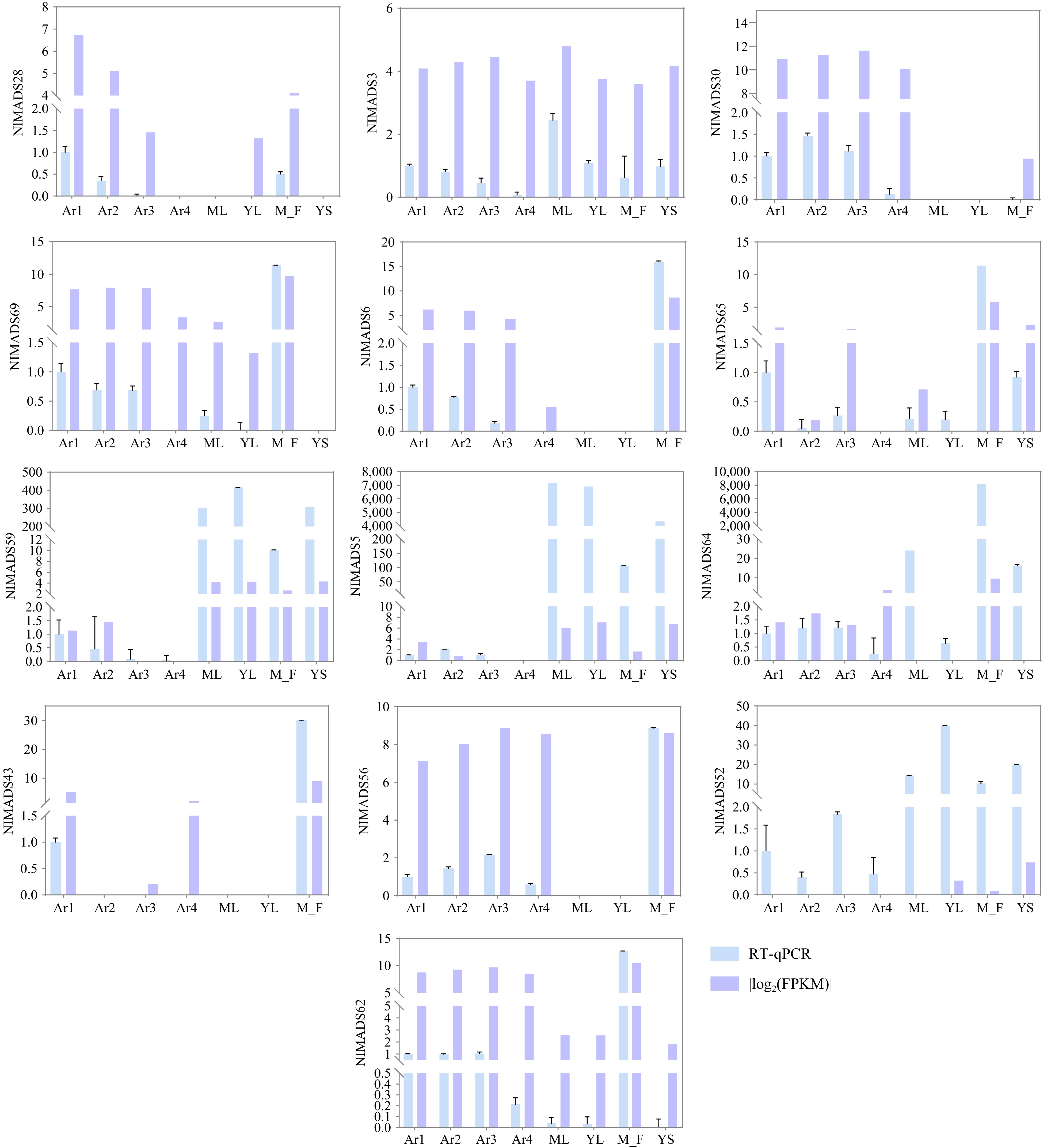 Genome-wide identification, characterization, evolution, and expression pattern analyses of MADS ...