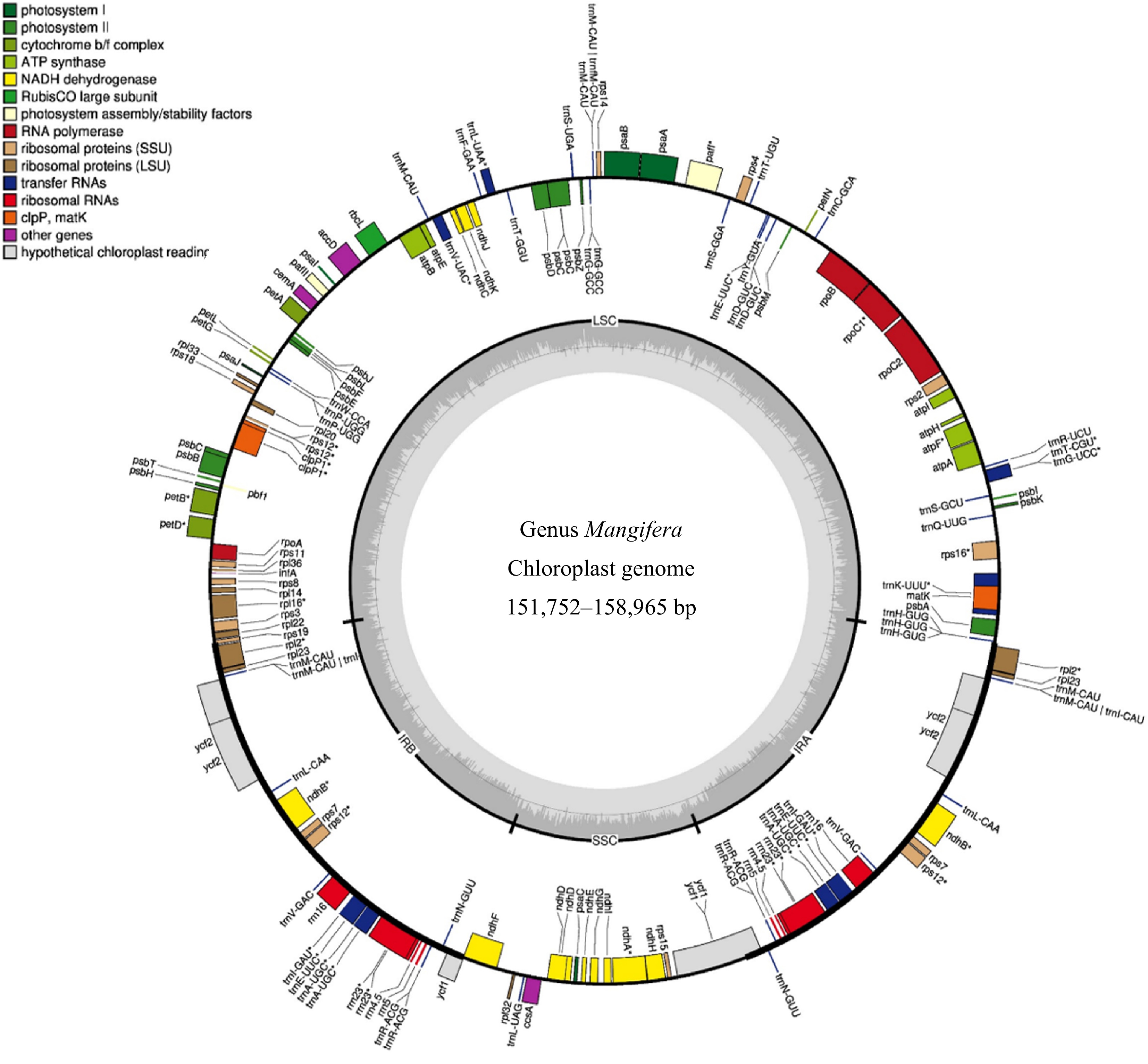 Phylogenetic relationships in the genus Mangifera based on whole ...
