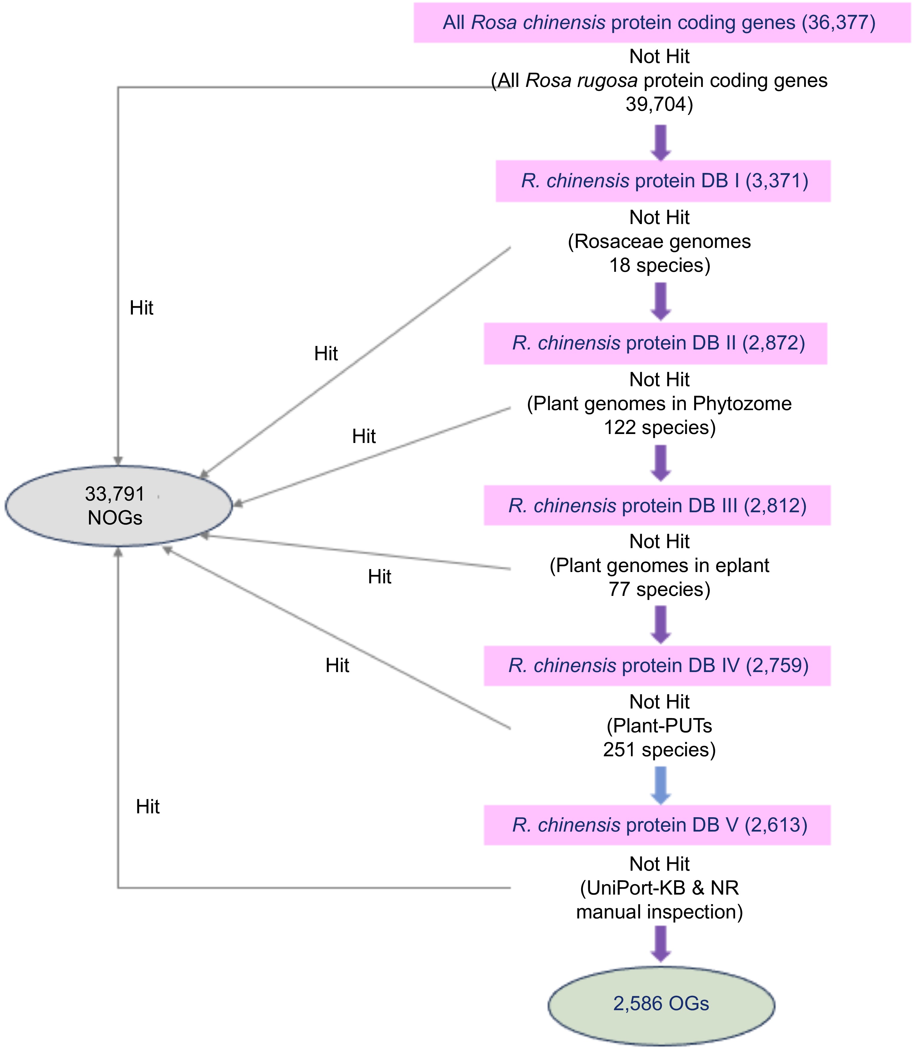 Orphan genes are involved in environmental adaptations and flowering ...