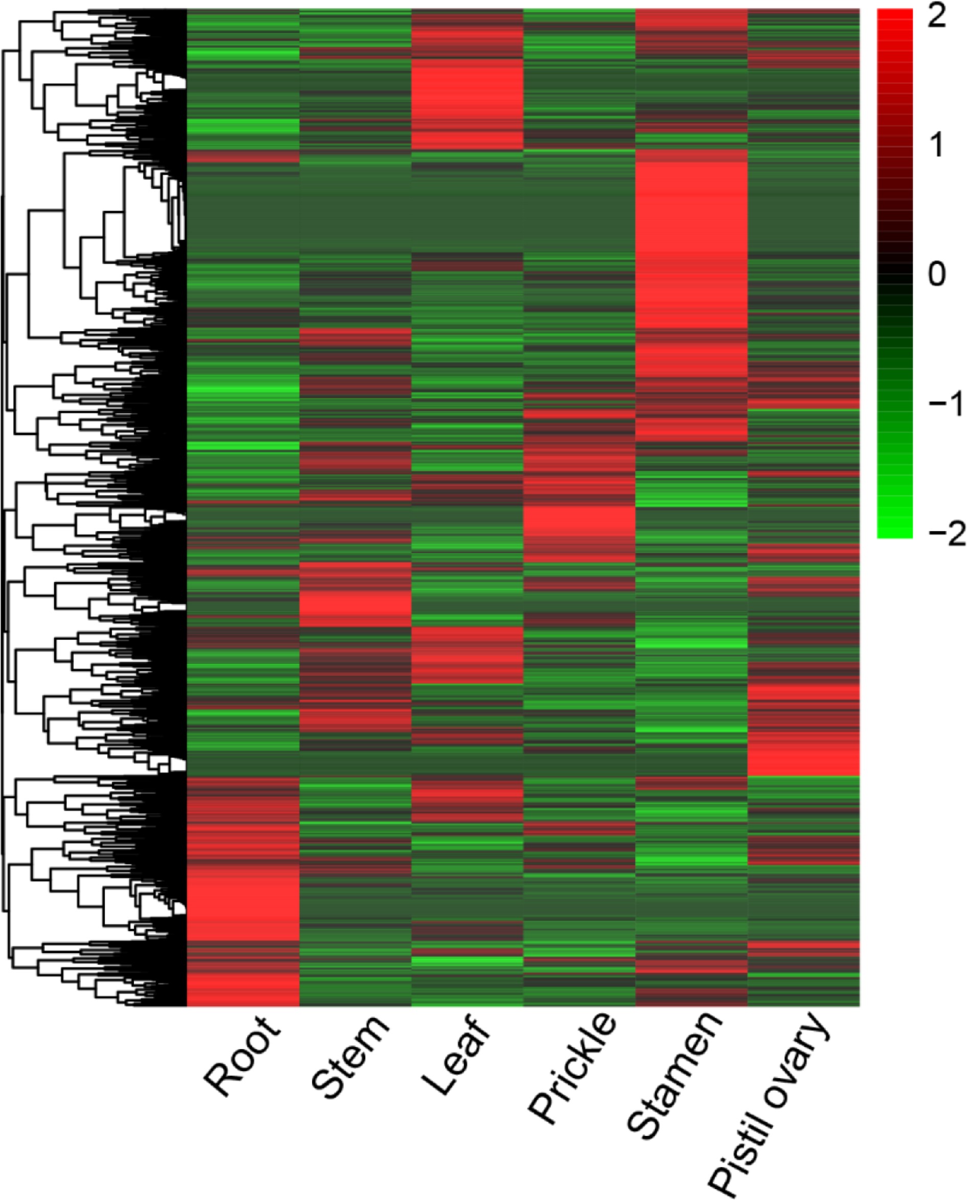 Orphan genes are involved in environmental adaptations and flowering ...