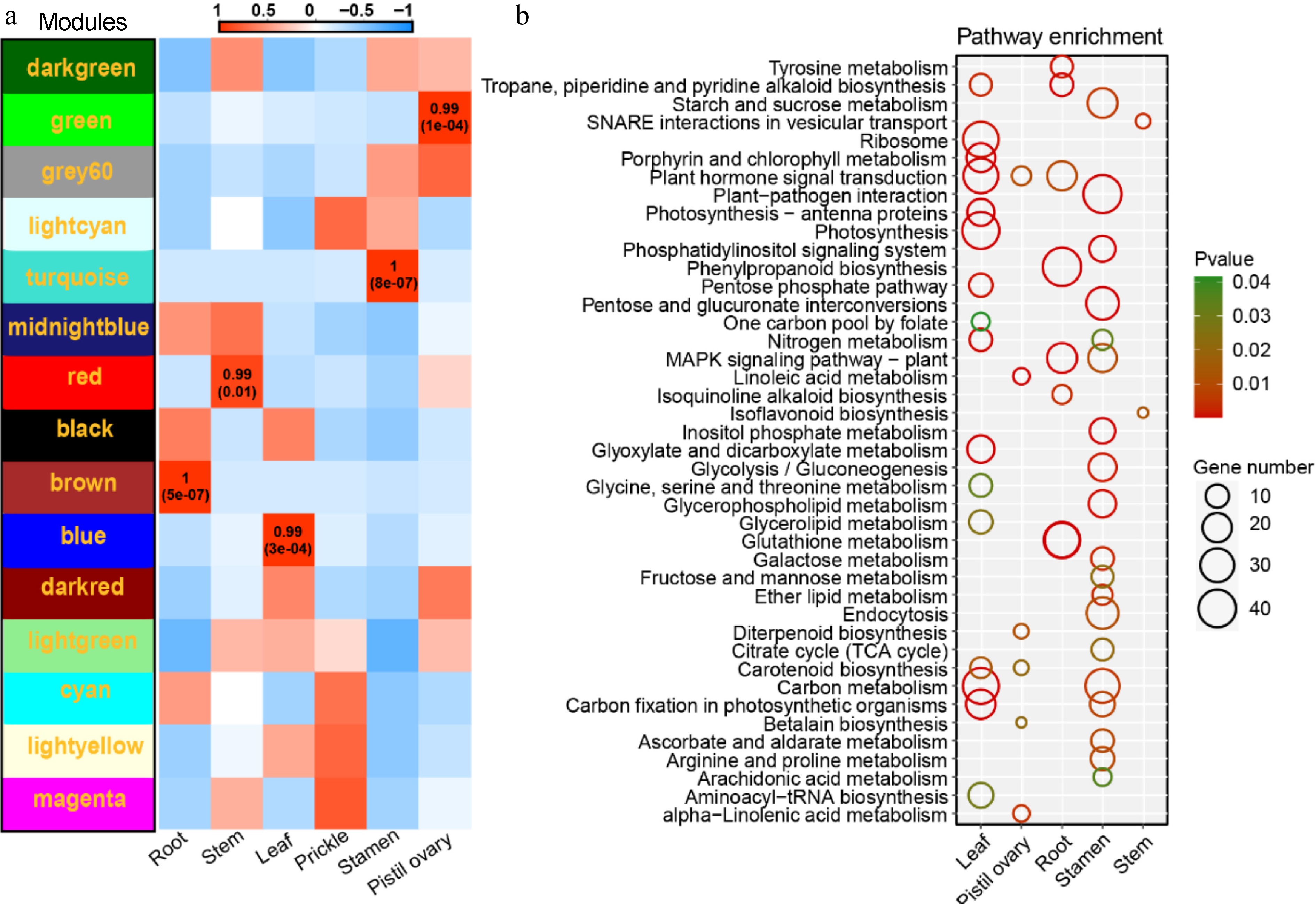 Orphan genes are involved in environmental adaptations and flowering ...