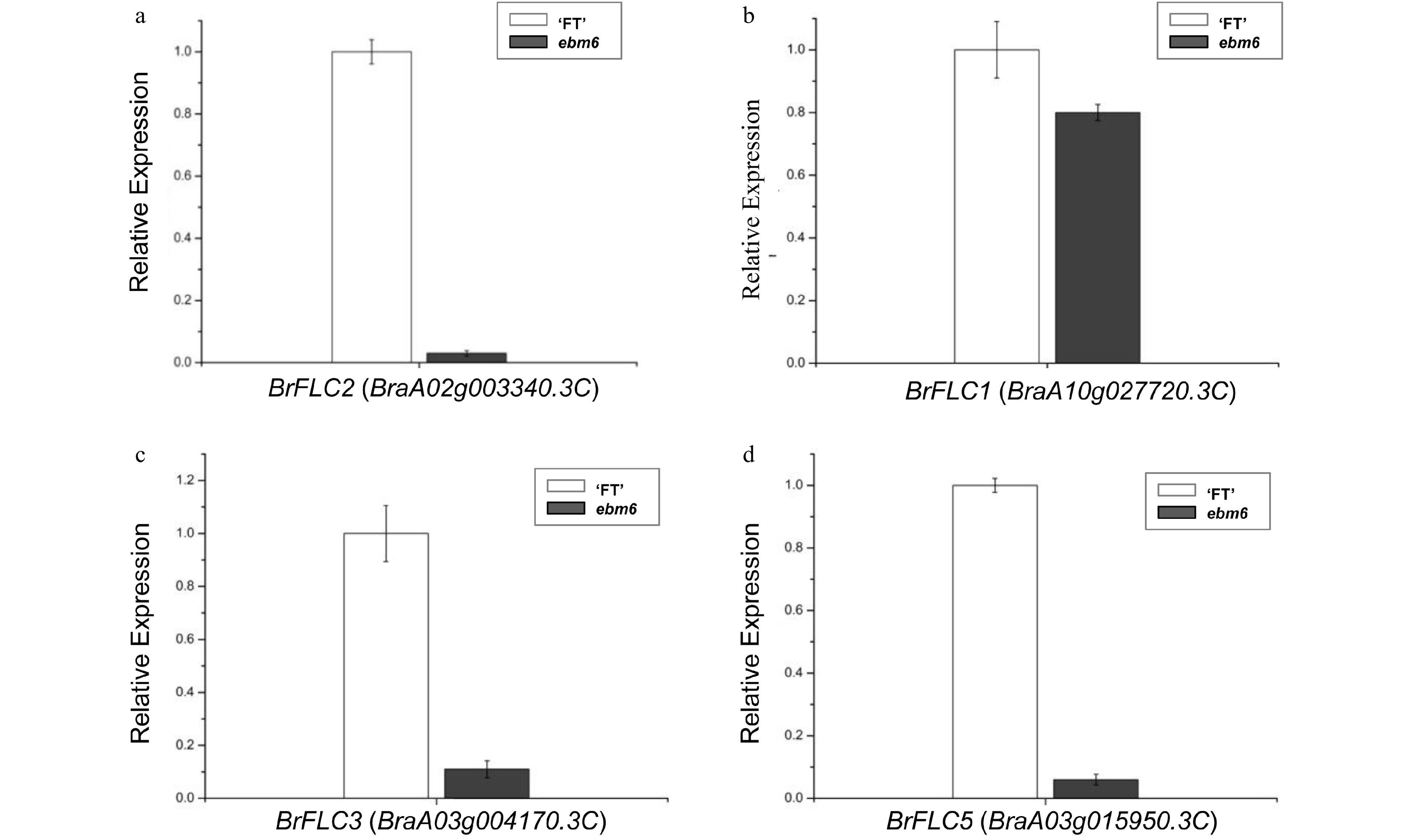 Fine mapping of Brebm6 , a gene conferring the early-bolting phenotype ...
