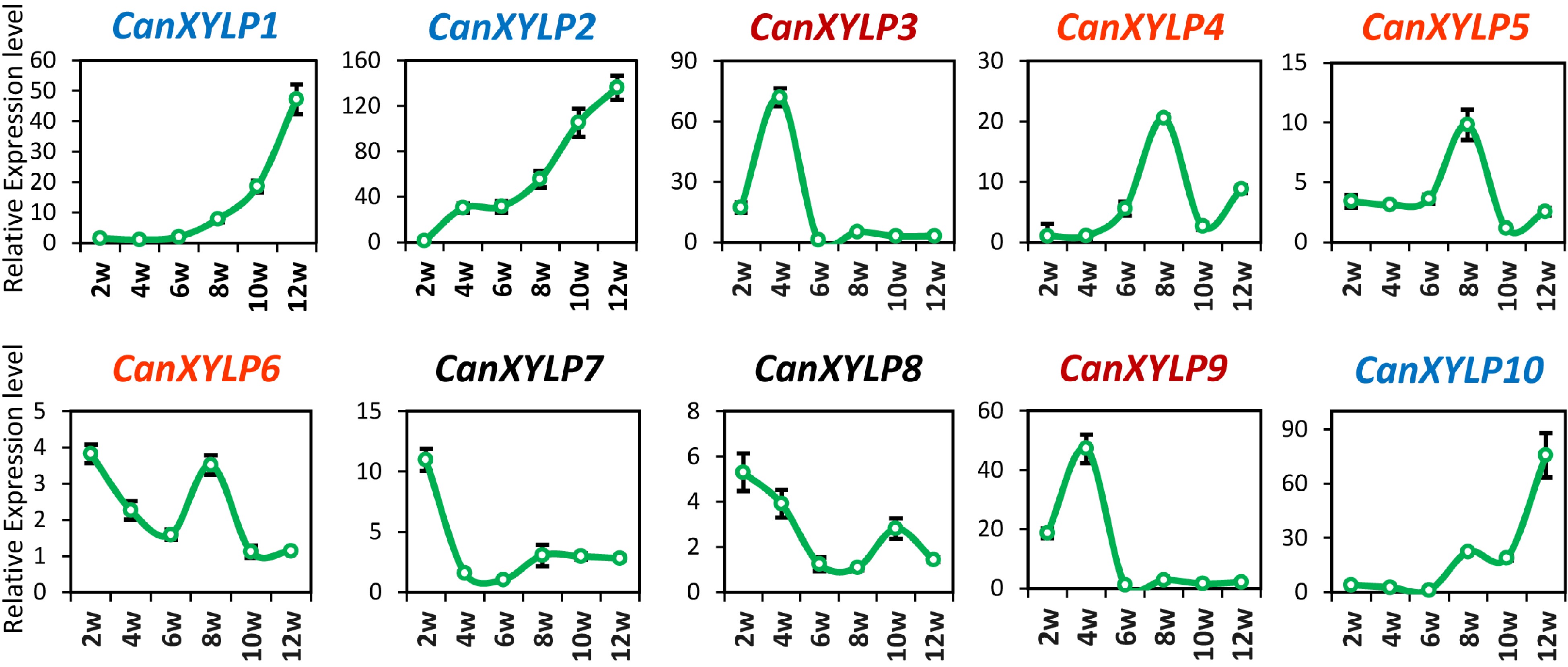 Pepper ( Capsicum annuum ) xylogen-like arabinogalactan protein (XYLP ...