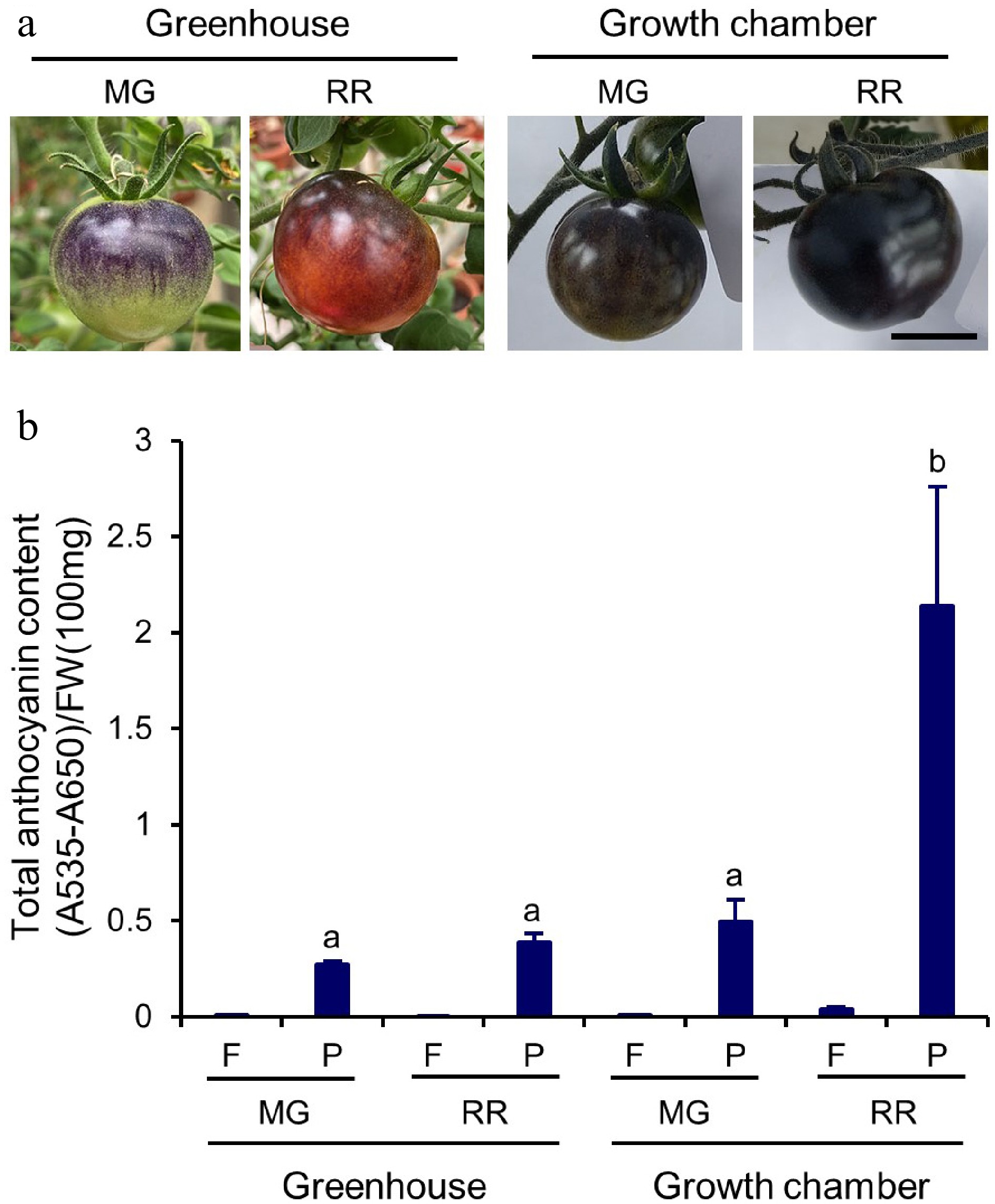 Optimization of light and temperature in indoor farming to boost ...
