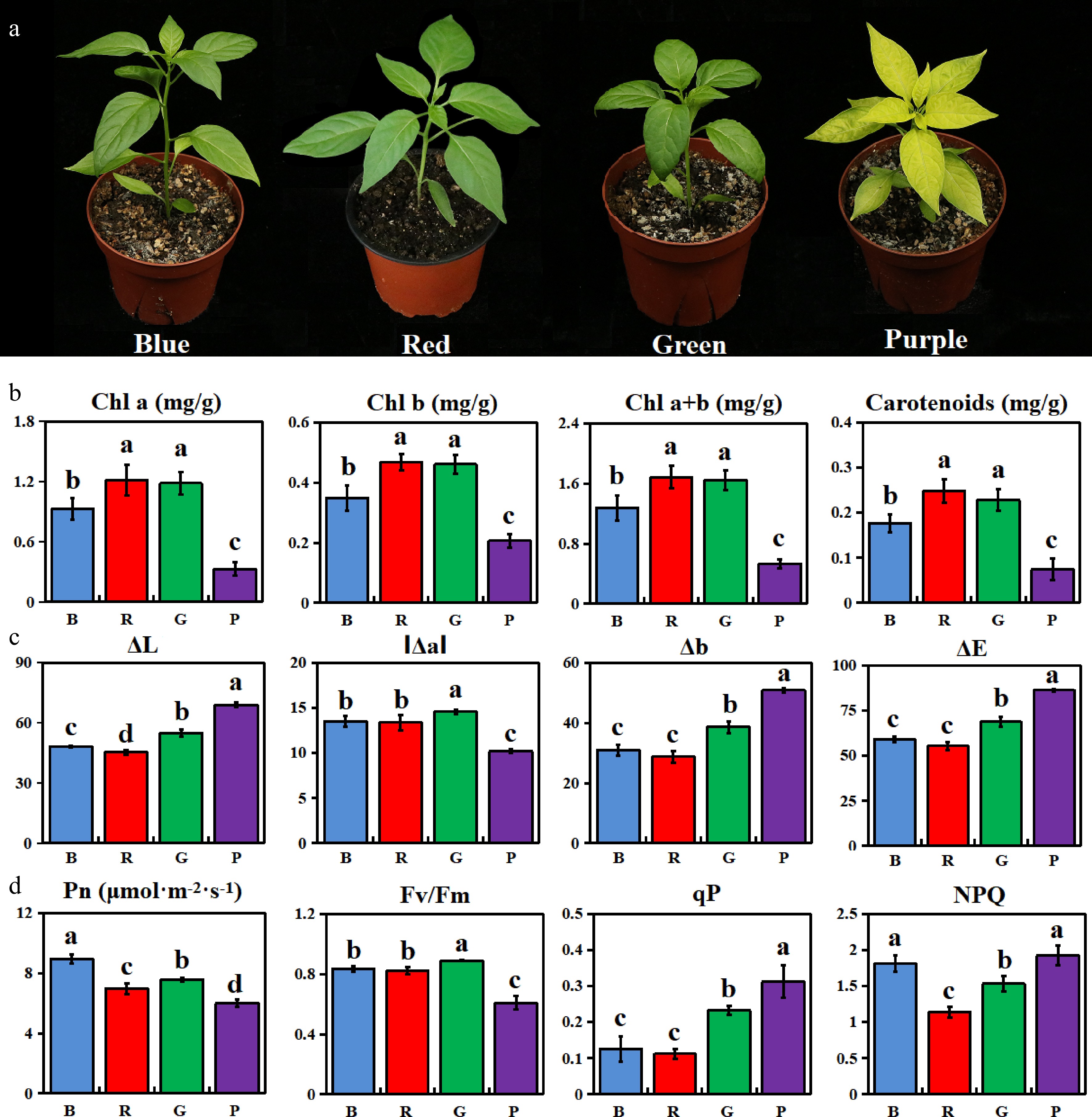 Integrated metabolome and transcriptome analysis revealed carotenoid ...