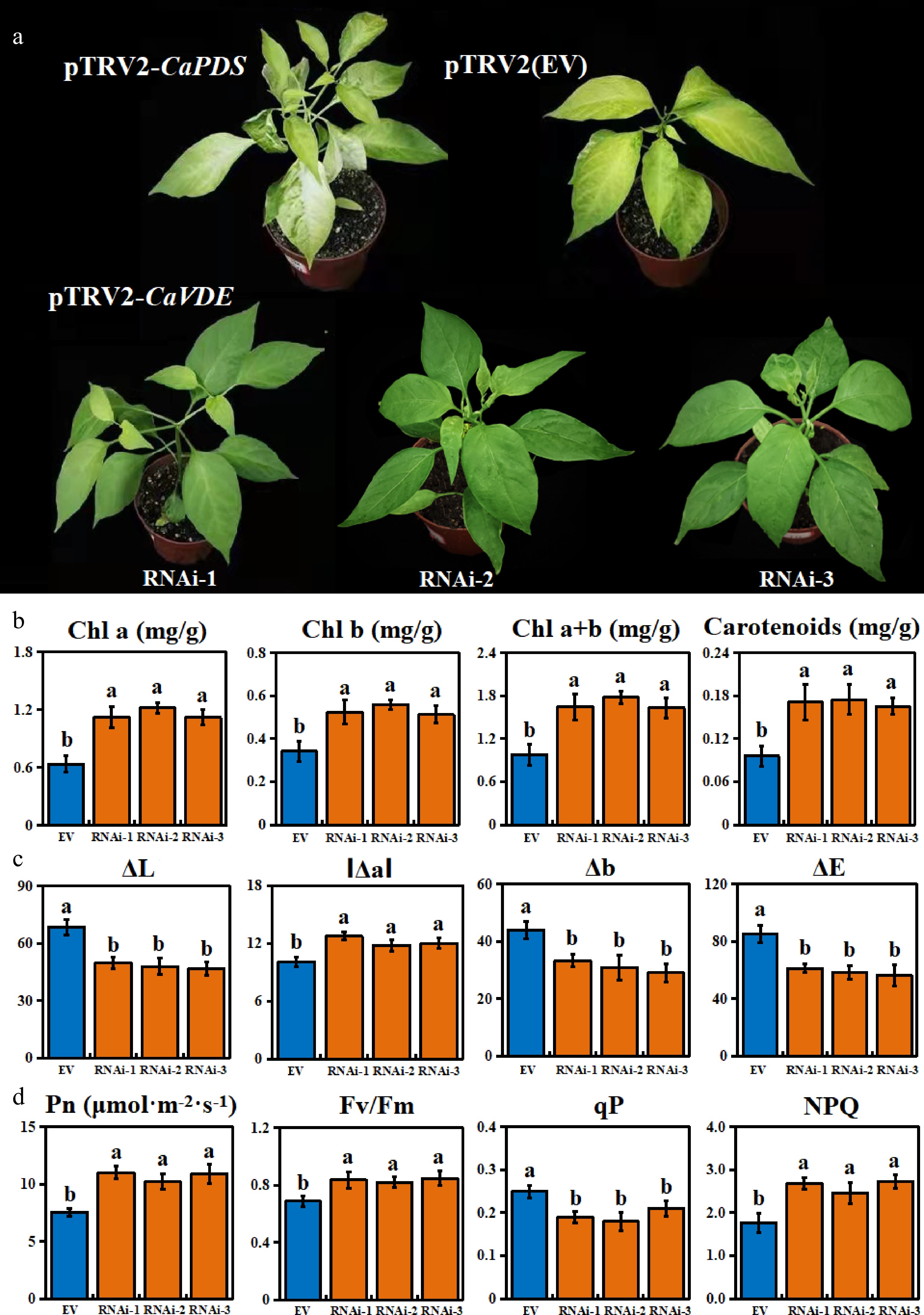 Integrated metabolome and transcriptome analysis revealed carotenoid ...