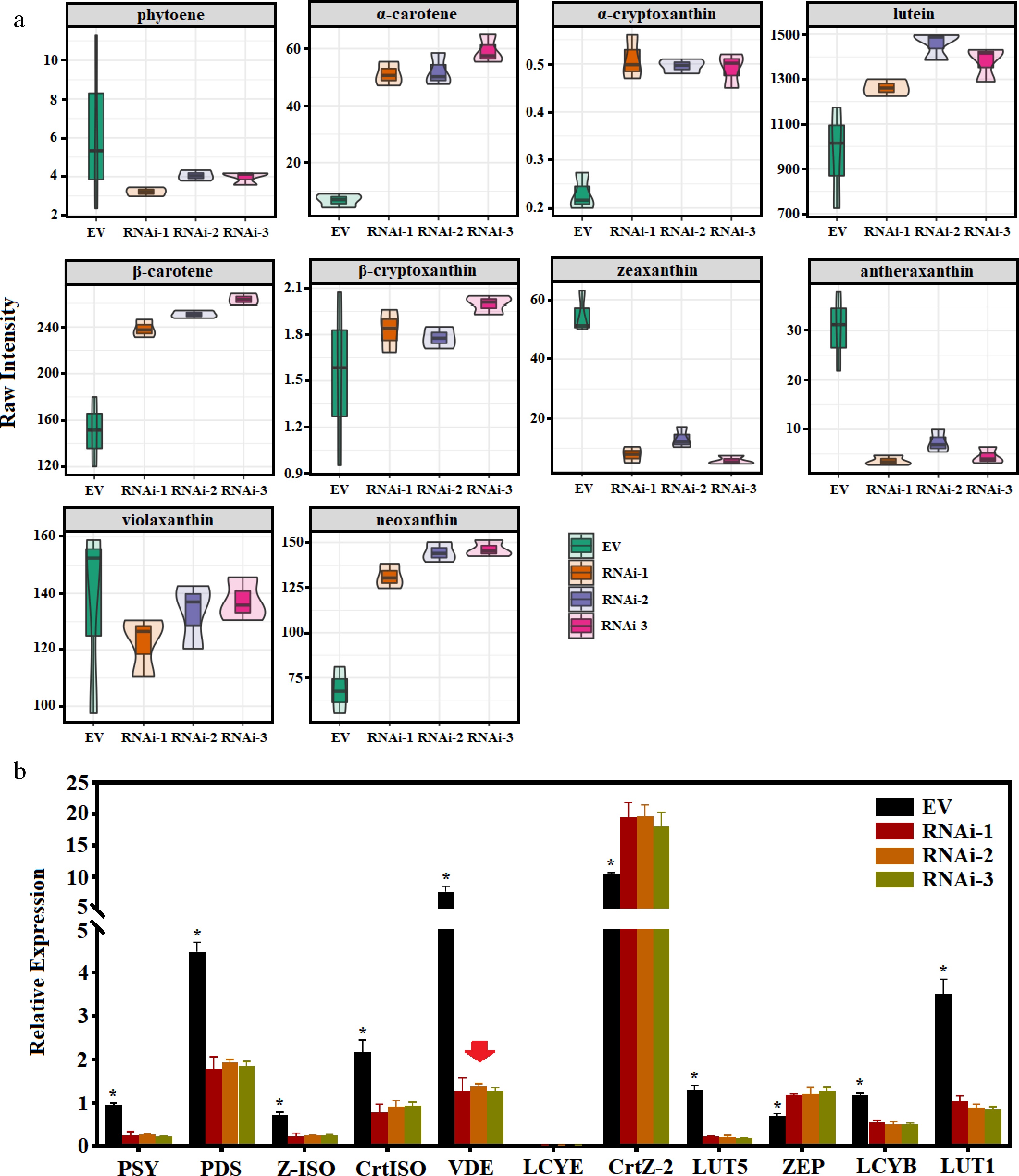 Integrated metabolome and transcriptome analysis revealed carotenoid ...