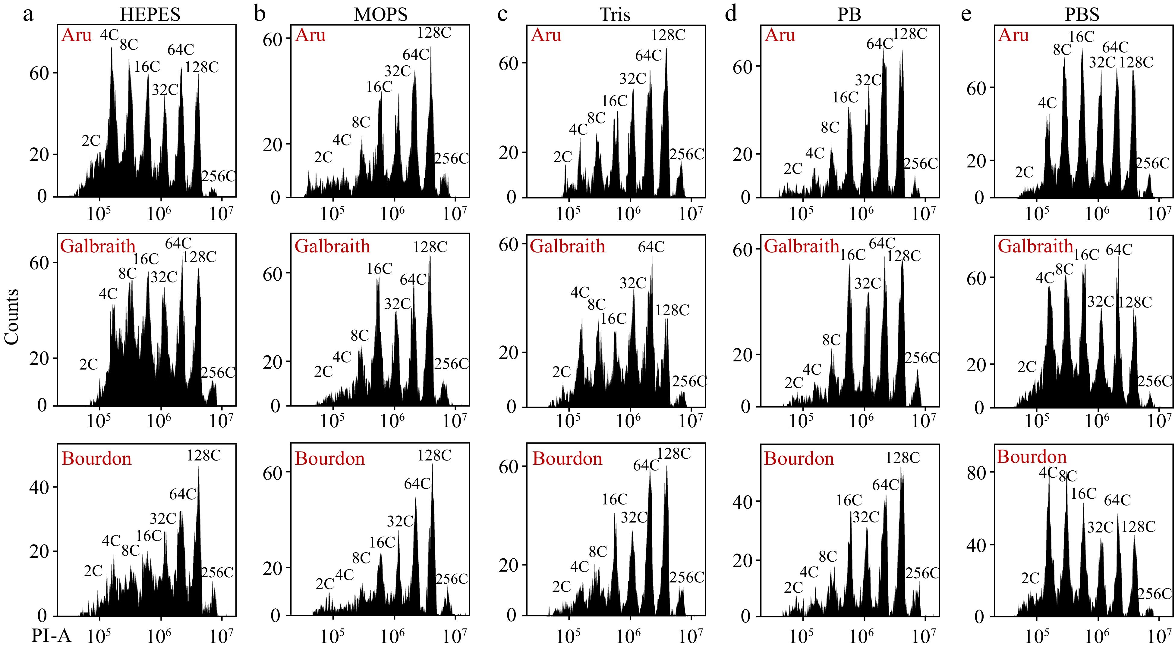 Determination of nuclear DNA ploidy distribution in the mesocarp of ...
