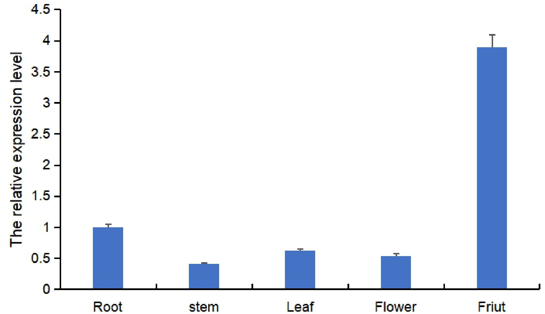 The DR5 and E8 reporters are suitable systems for studying the ...