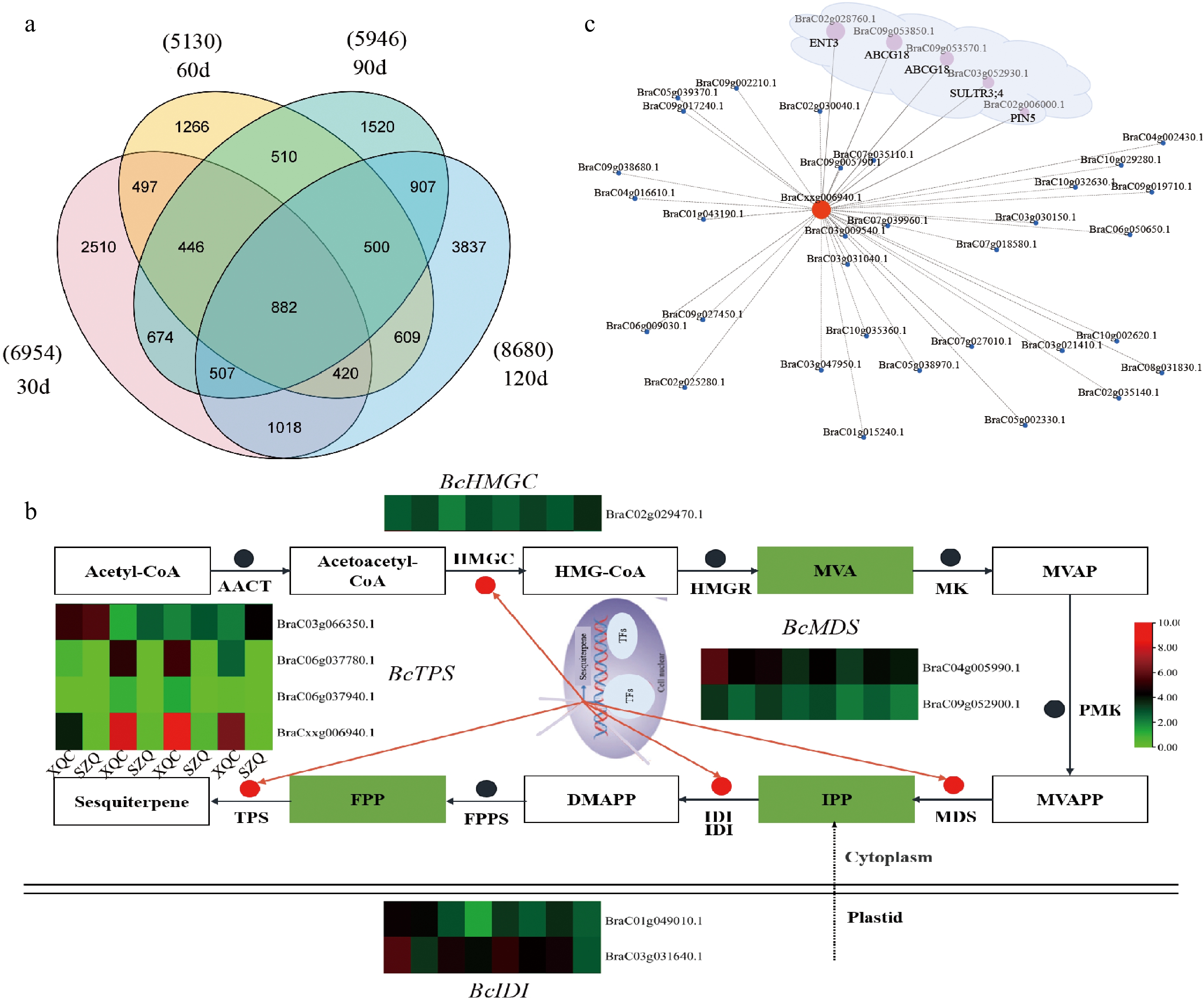 Comparative Transcriptome Based Identification And Expression Analysis