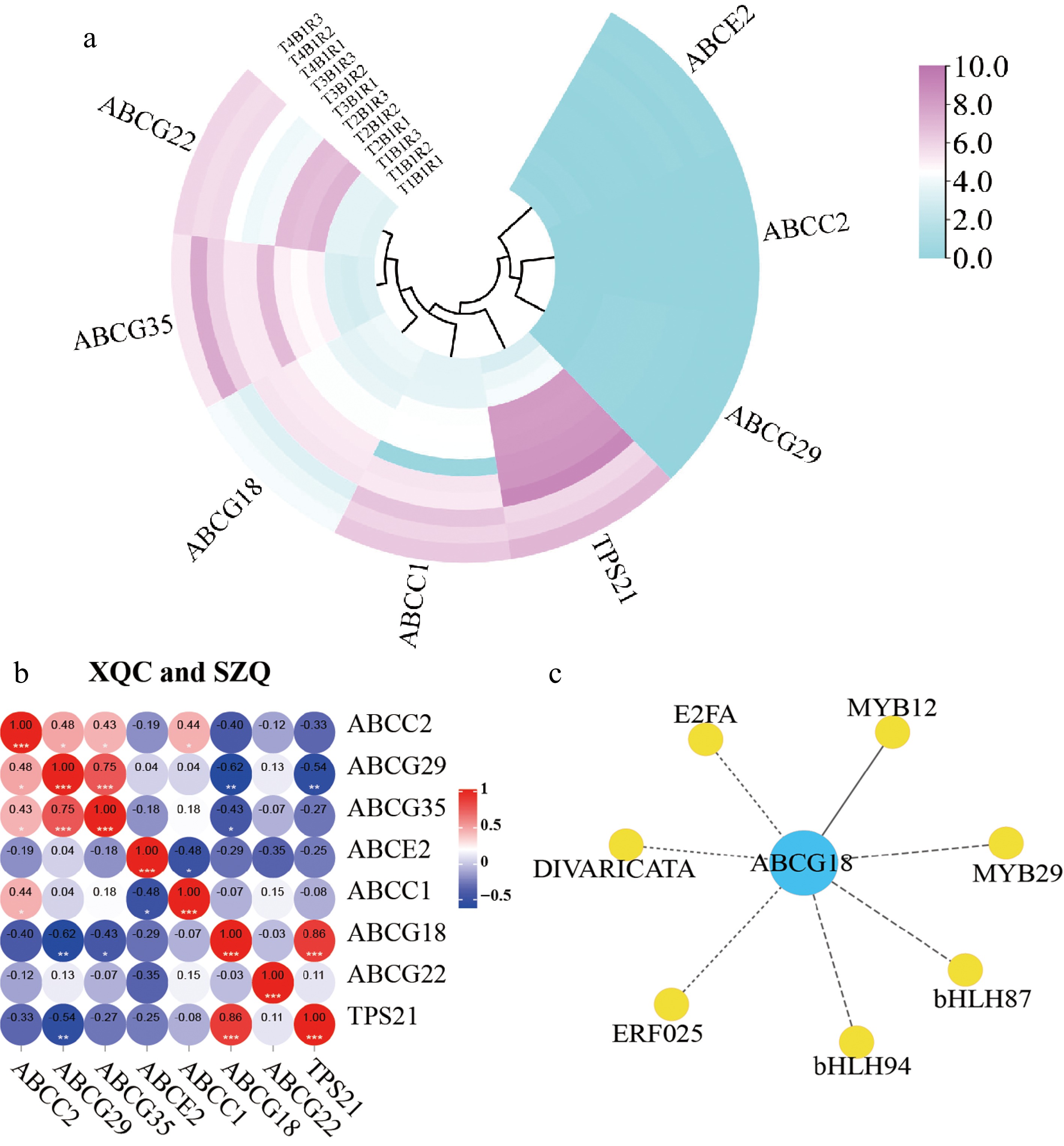 Comparative Transcriptome Based Identification And Expression Analysis
