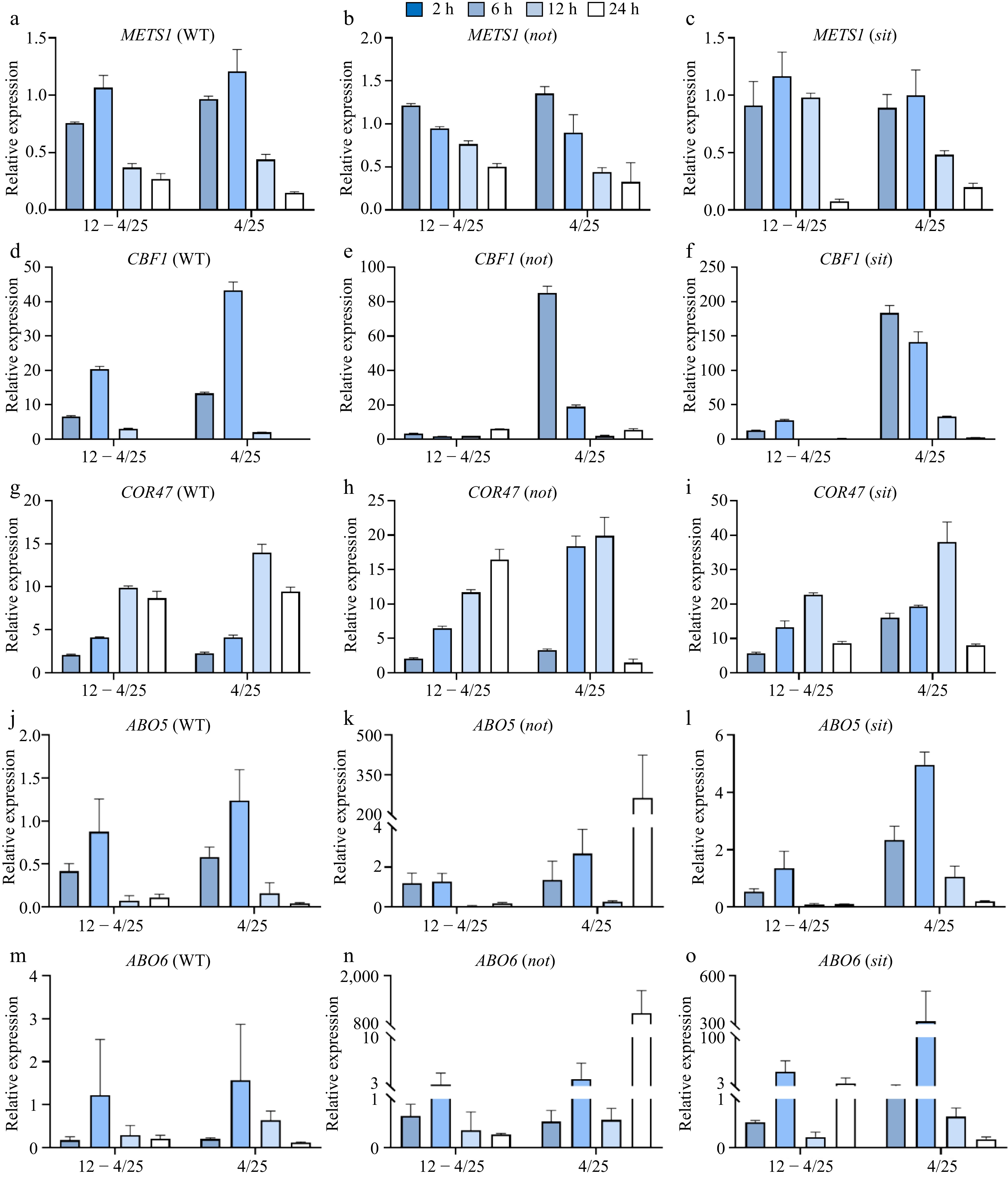 Tomato SlMETS1 positively regulates cold stress tolerance by involving ...