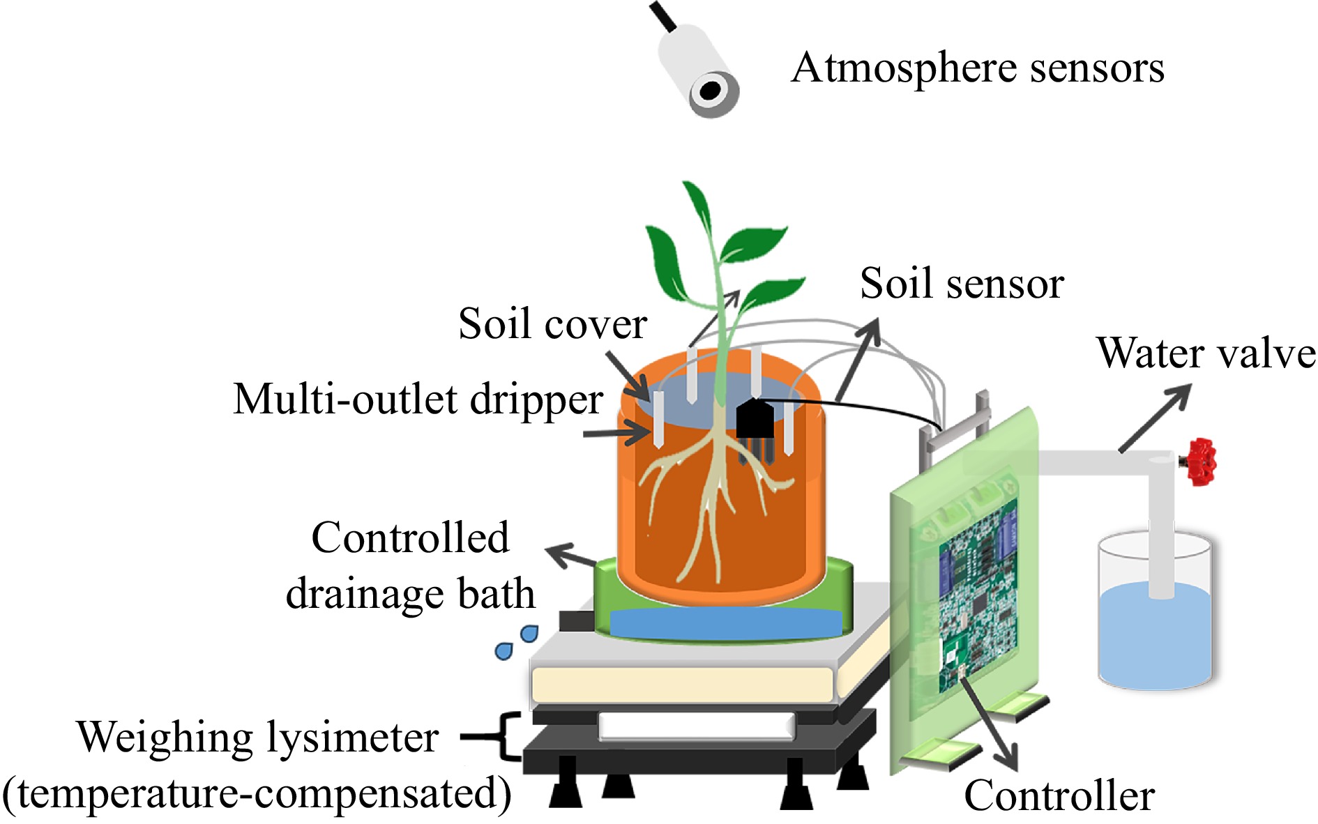 Leveraging 'golden-hour' WUE for developing superior vegetable ...