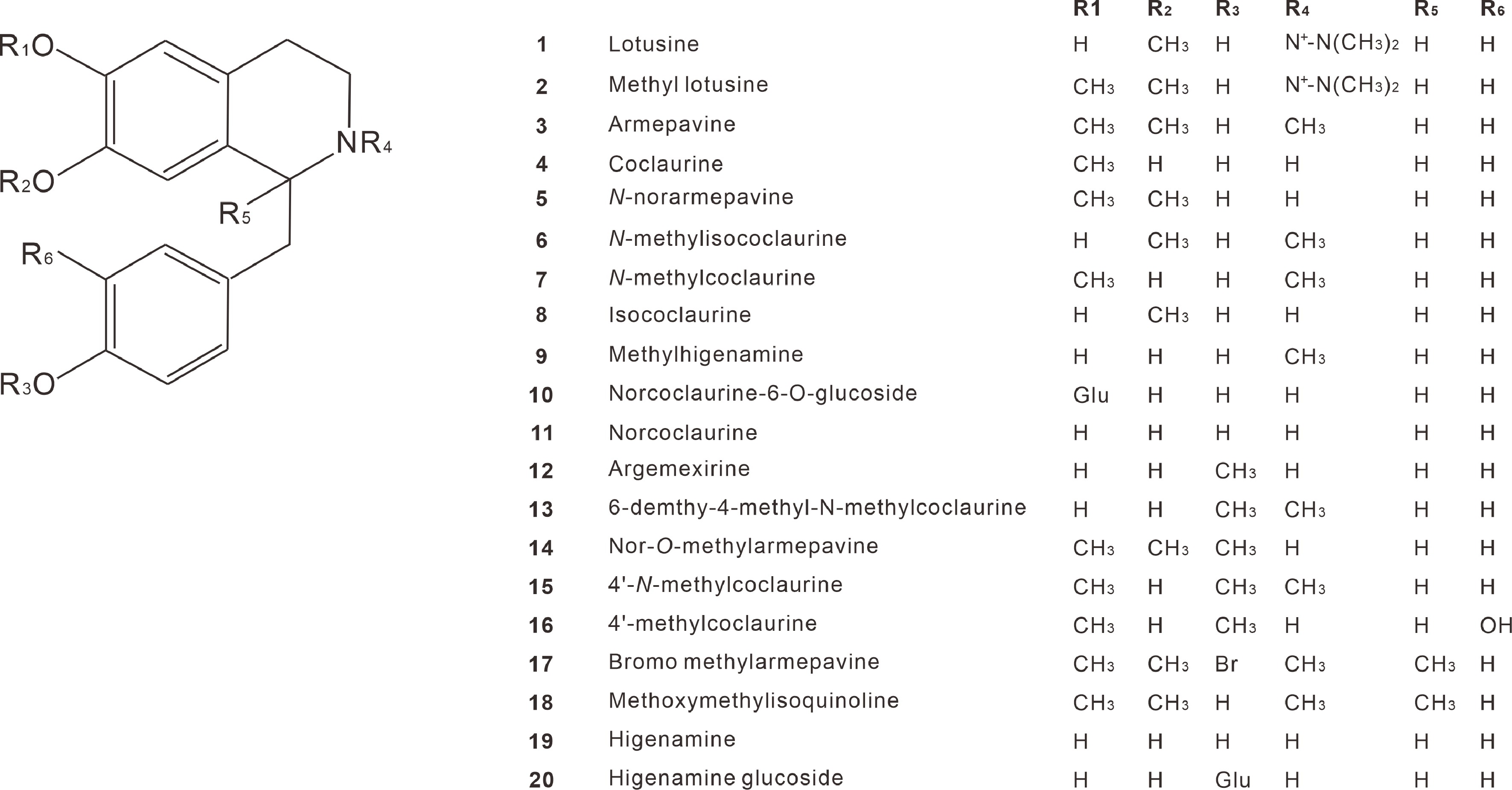 Lotus ( Nelumbo nucifera ) benzylisoquinoline alkaloids advances in ...