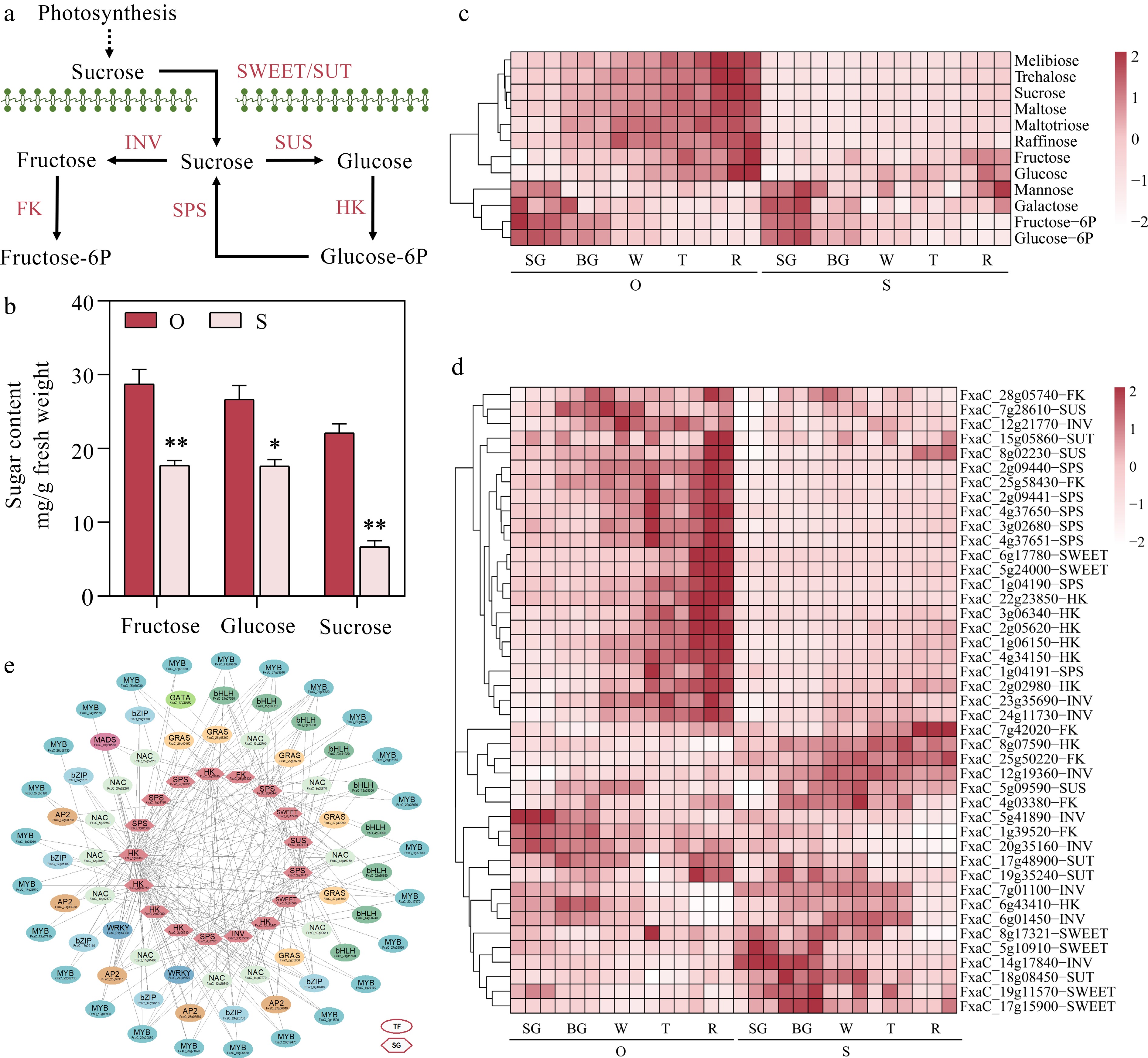 Integrative analysis of metabolome and transcriptome reveals new ...