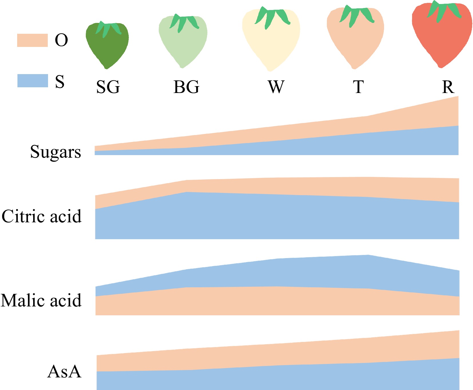 Integrative analysis of metabolome and transcriptome reveals new ...
