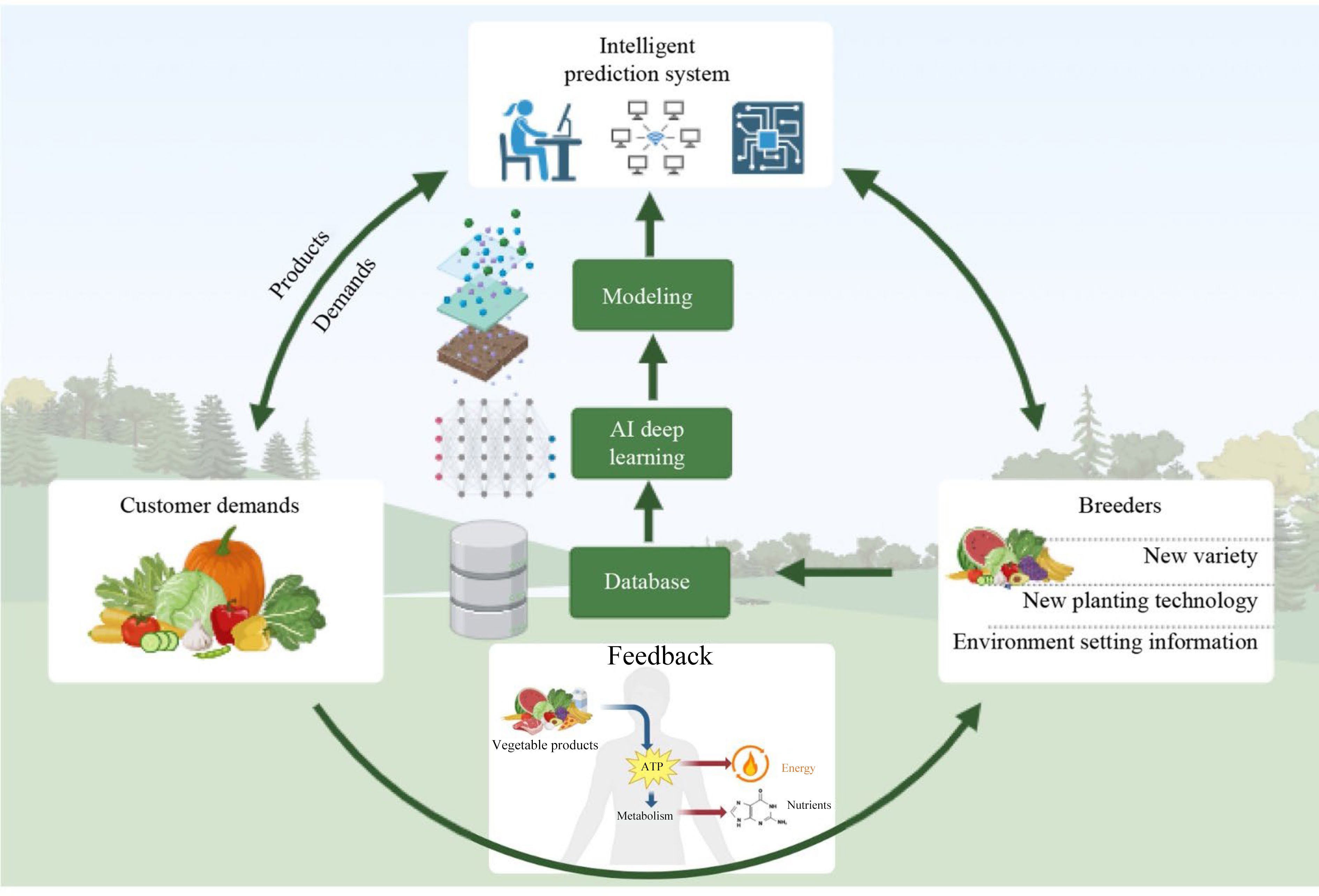 Plant factory technology as a powerful tool for improving vegetable ...