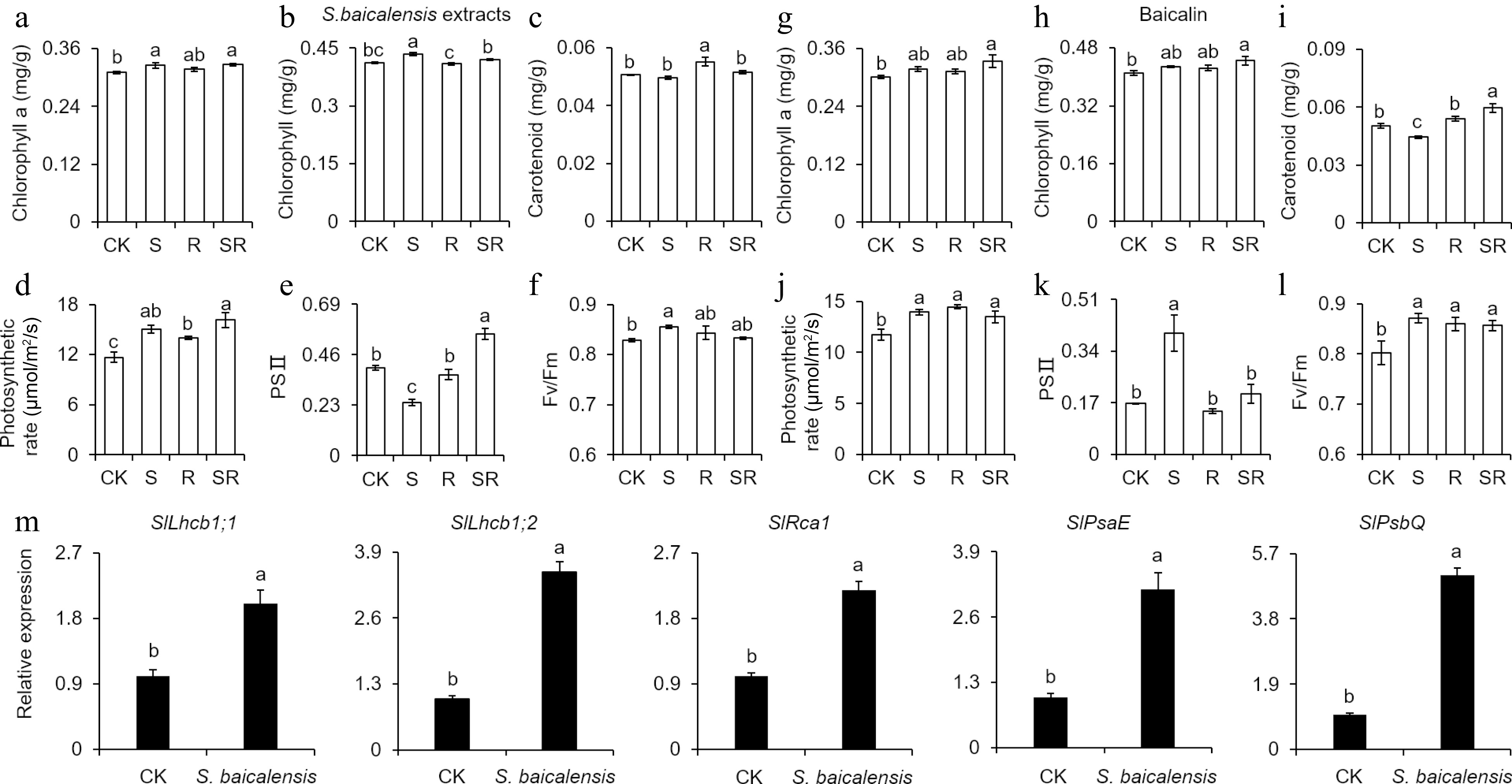Scutellaria baicalensis Georgi extracts and its active compound ...