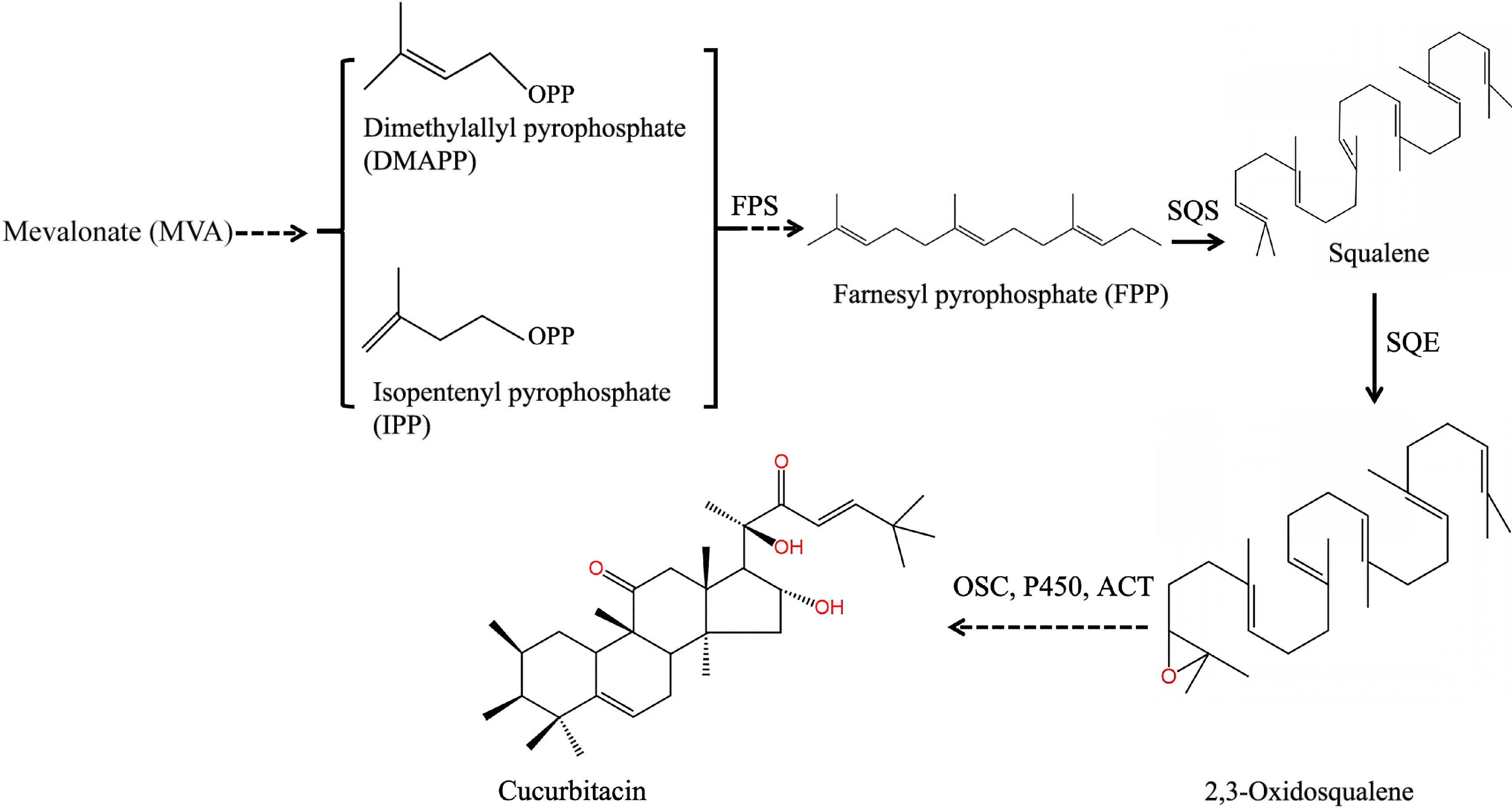 Advances in the biosynthesis, gene mining, and molecular mechanisms of ...