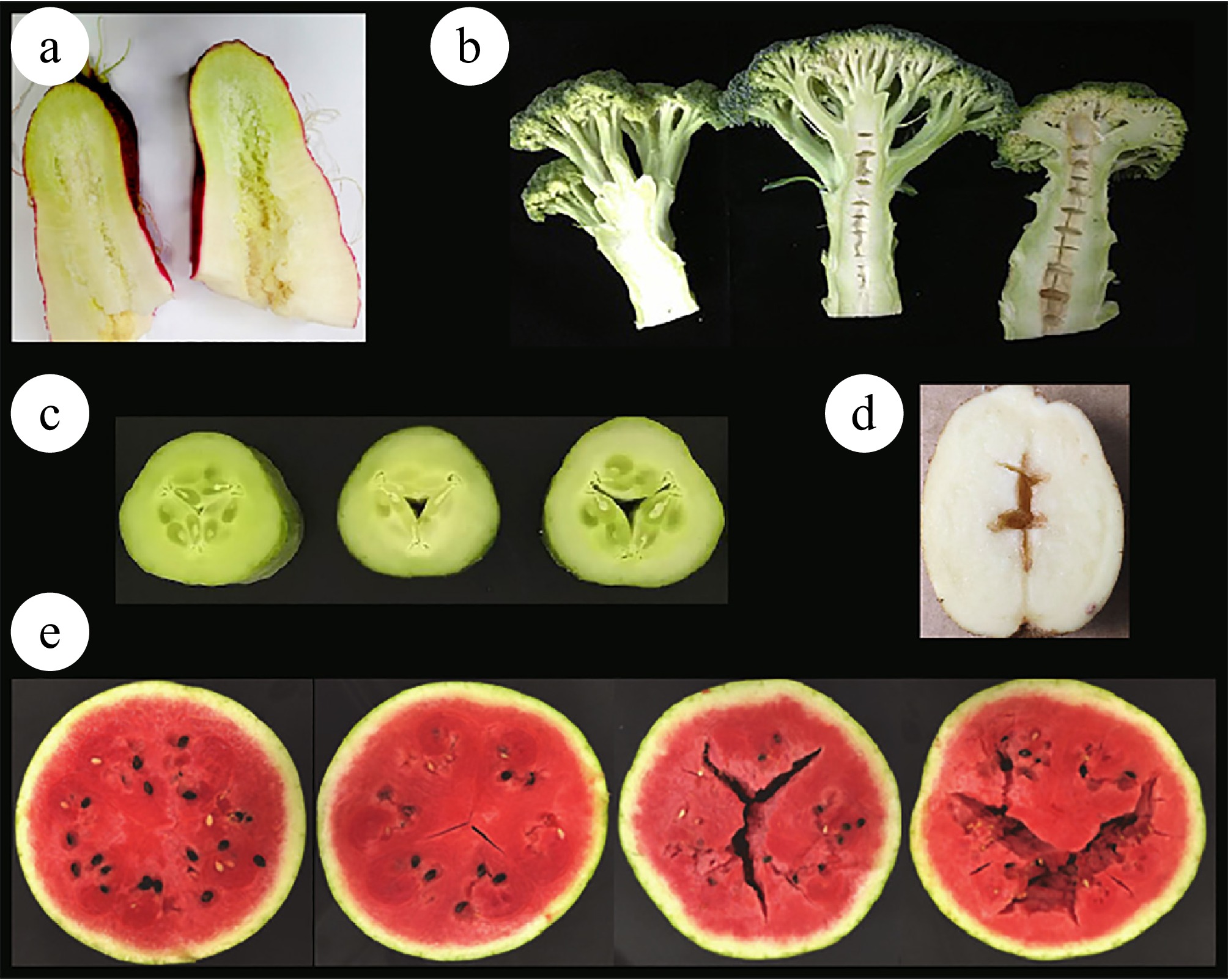 Advances on the formation and detection of hollow heart in vegetable crops