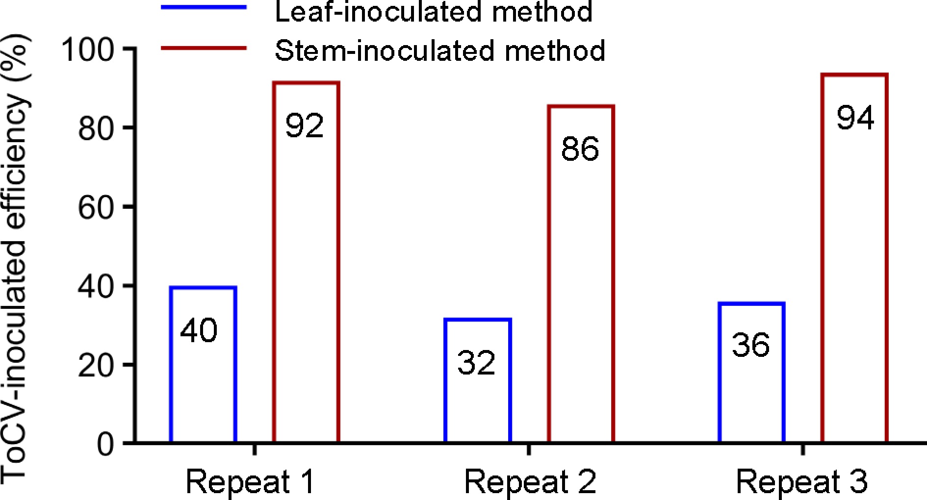 Inoculation method and disease evaluation of tomato chlorotic virus ...