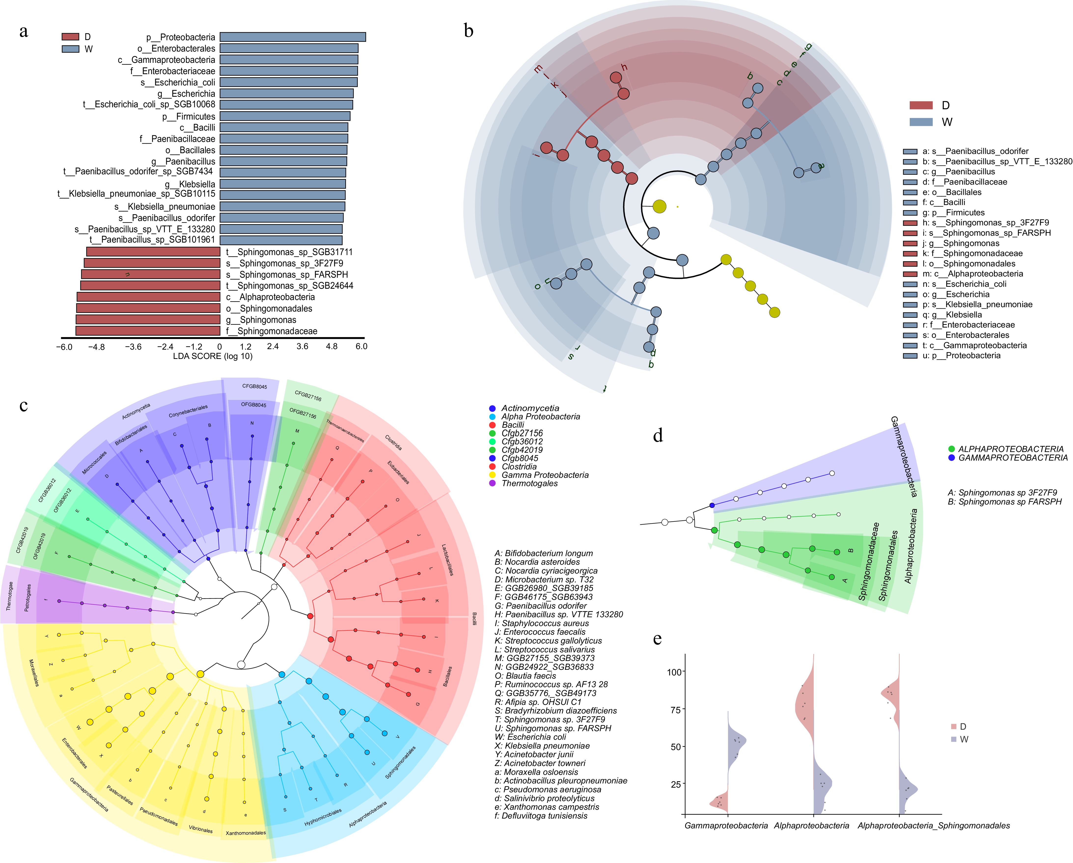 Microbiome analysis uncovers fruit-specific microbial community ...