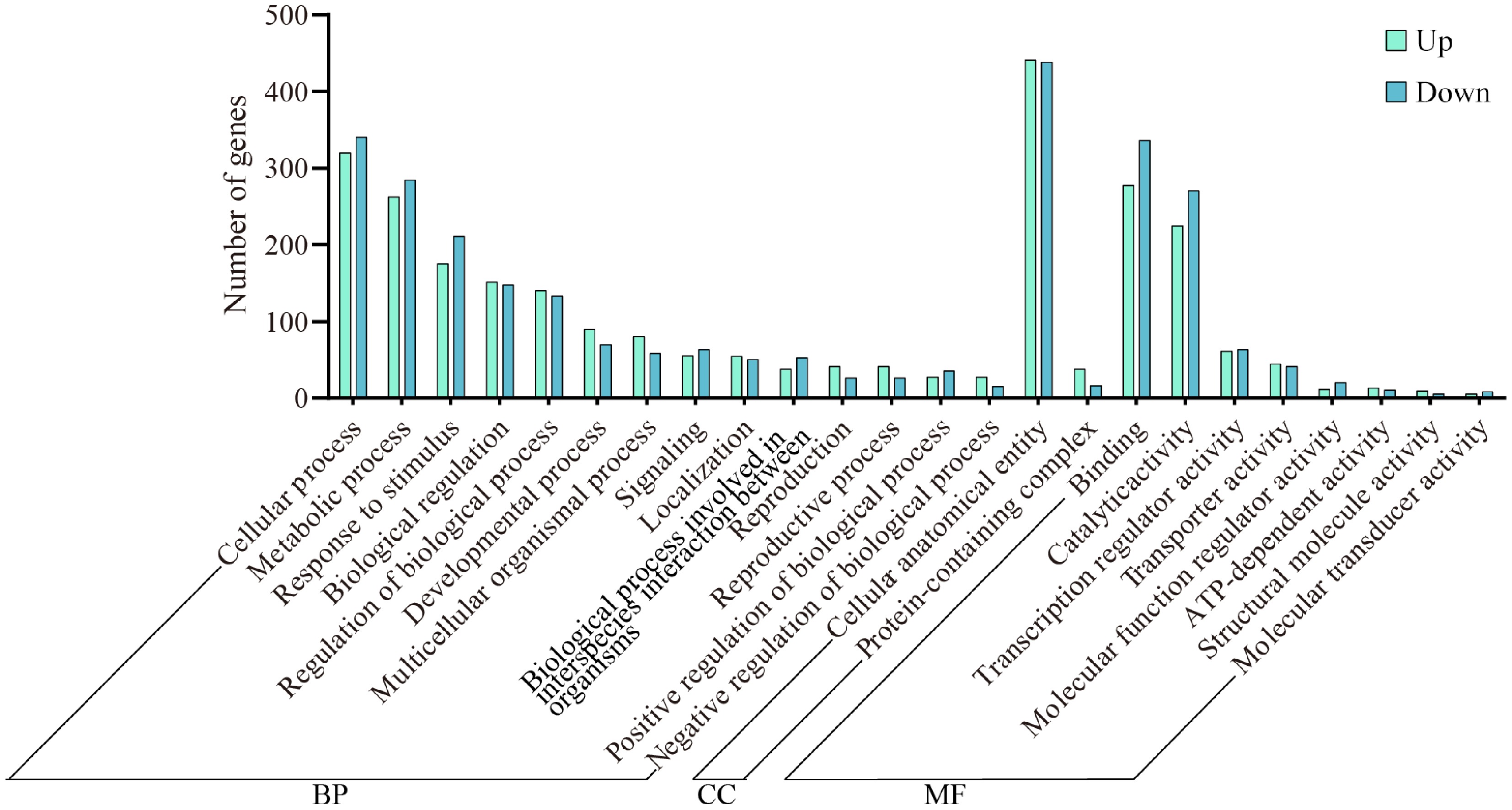 Phenotypic characteristics and transcriptome of wax gourd embryonic ...