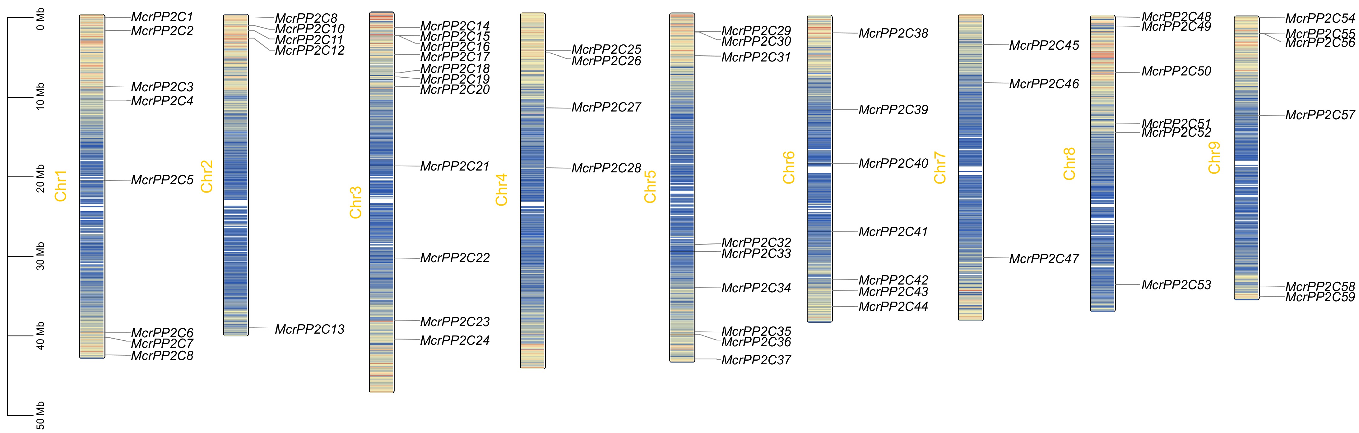 Genome-wide identification, evolution and expression analysis of the ...