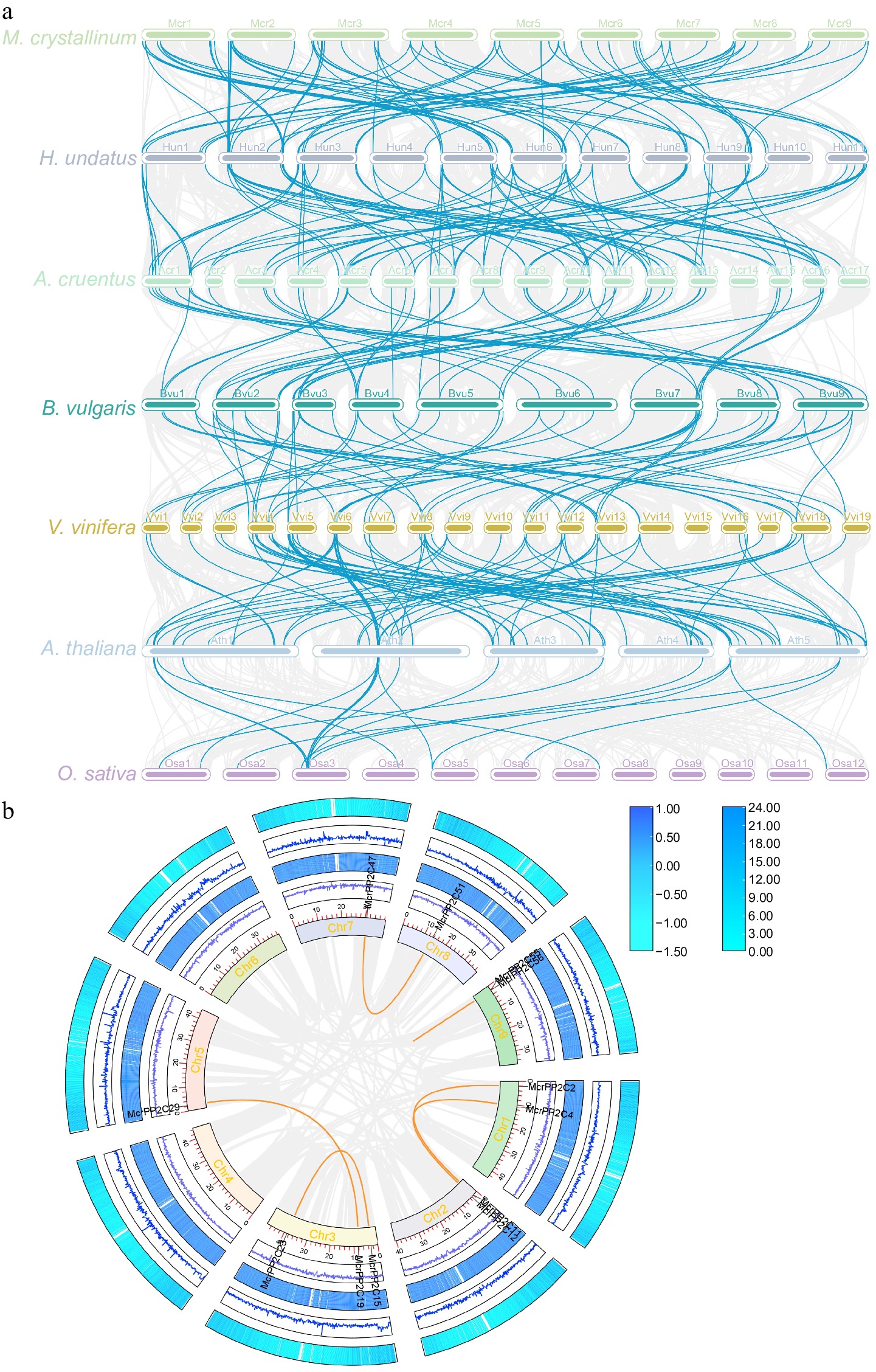 Genome-wide identification, evolution and expression analysis of the ...