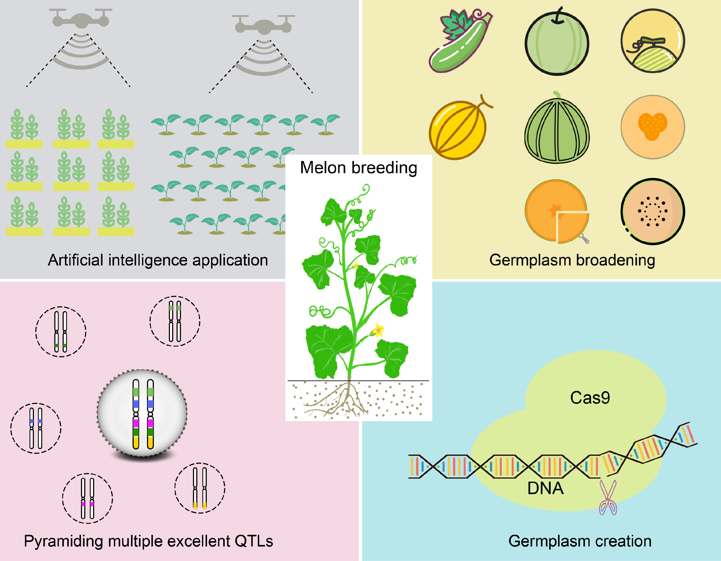 Novel molecular design breeding strategies enabled by genome ...