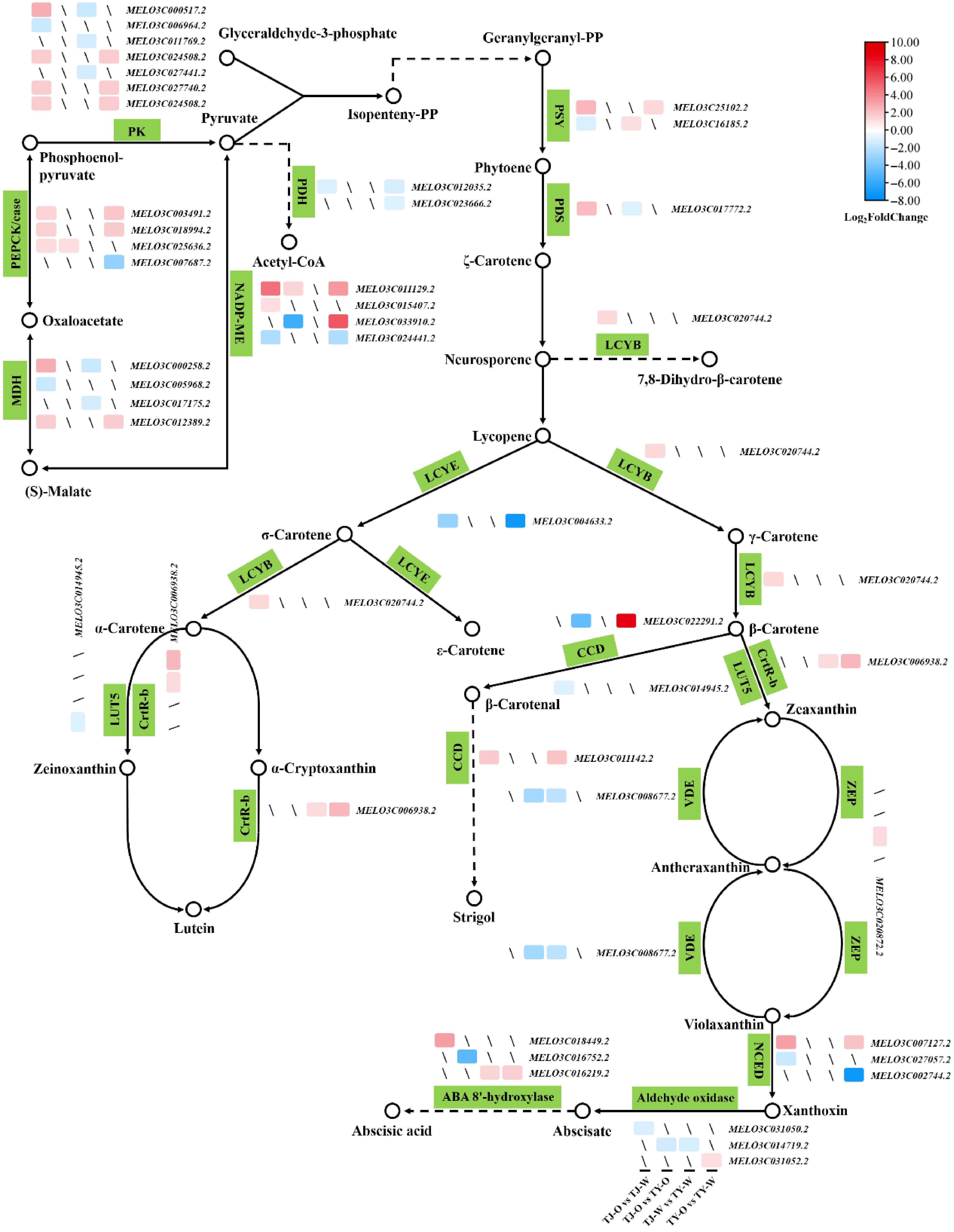 Joint transcriptomic and metabolomic analyses reveal the mechanism of ...
