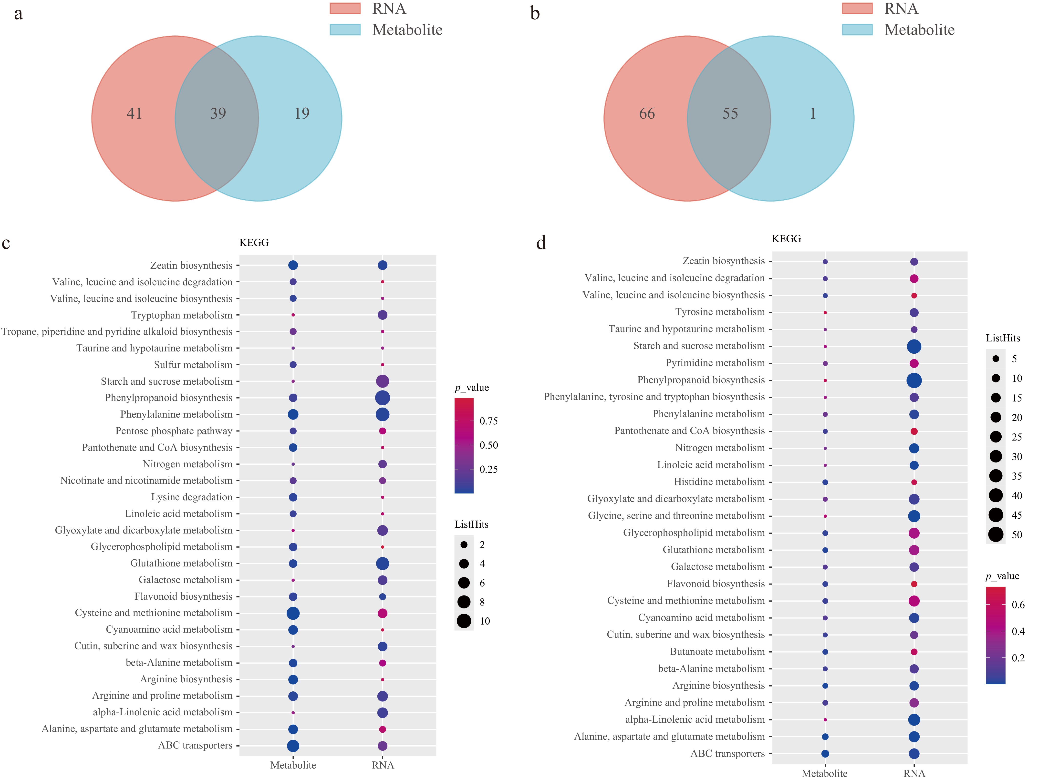 Integrated transcriptome and metabolome analysis revealed key genes related to astringency in ...