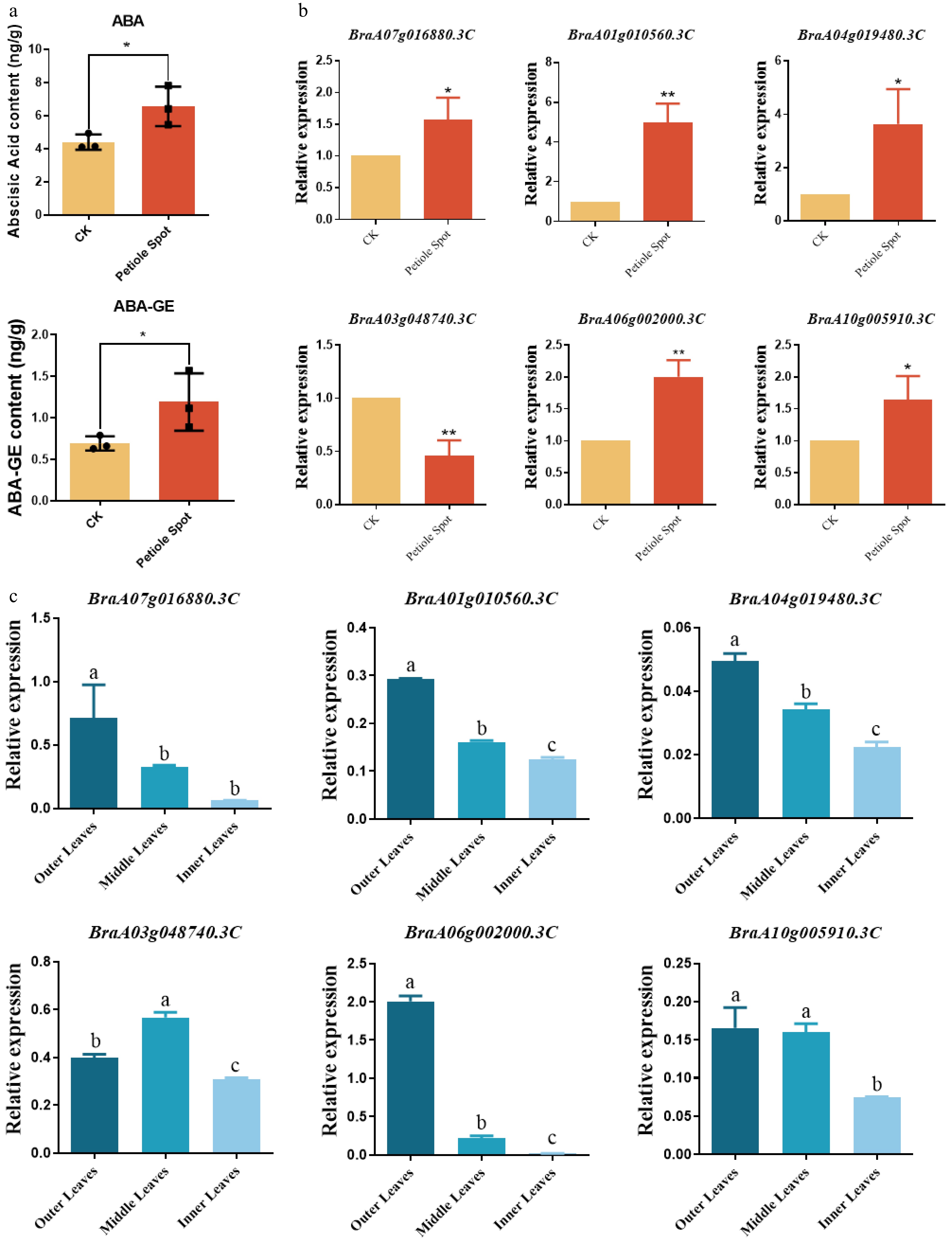 ABA-mediated ROS burst contributes to petiole spot formation in stored ...
