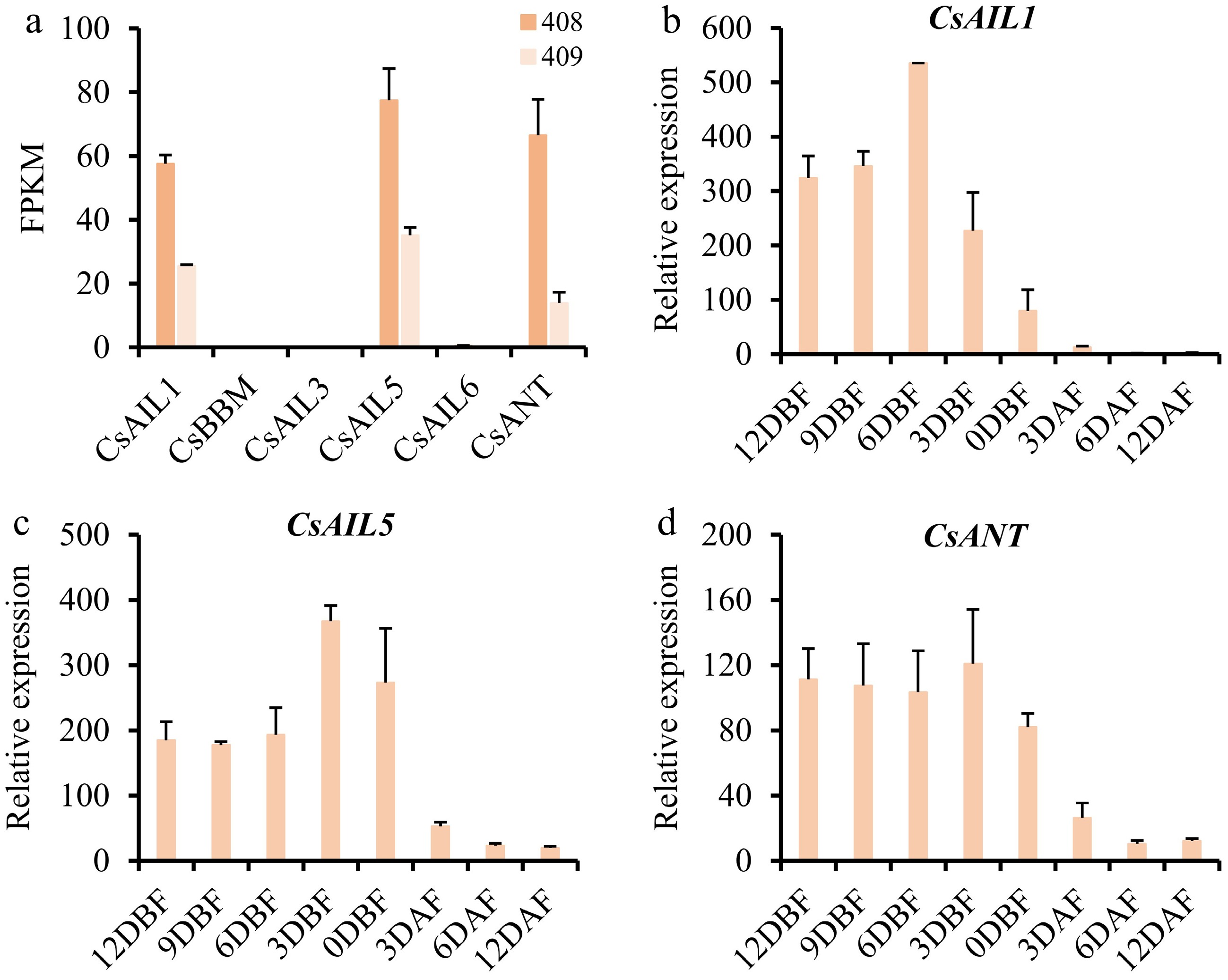 Genome-wide identification and expression analysis of CsAIL gene family ...