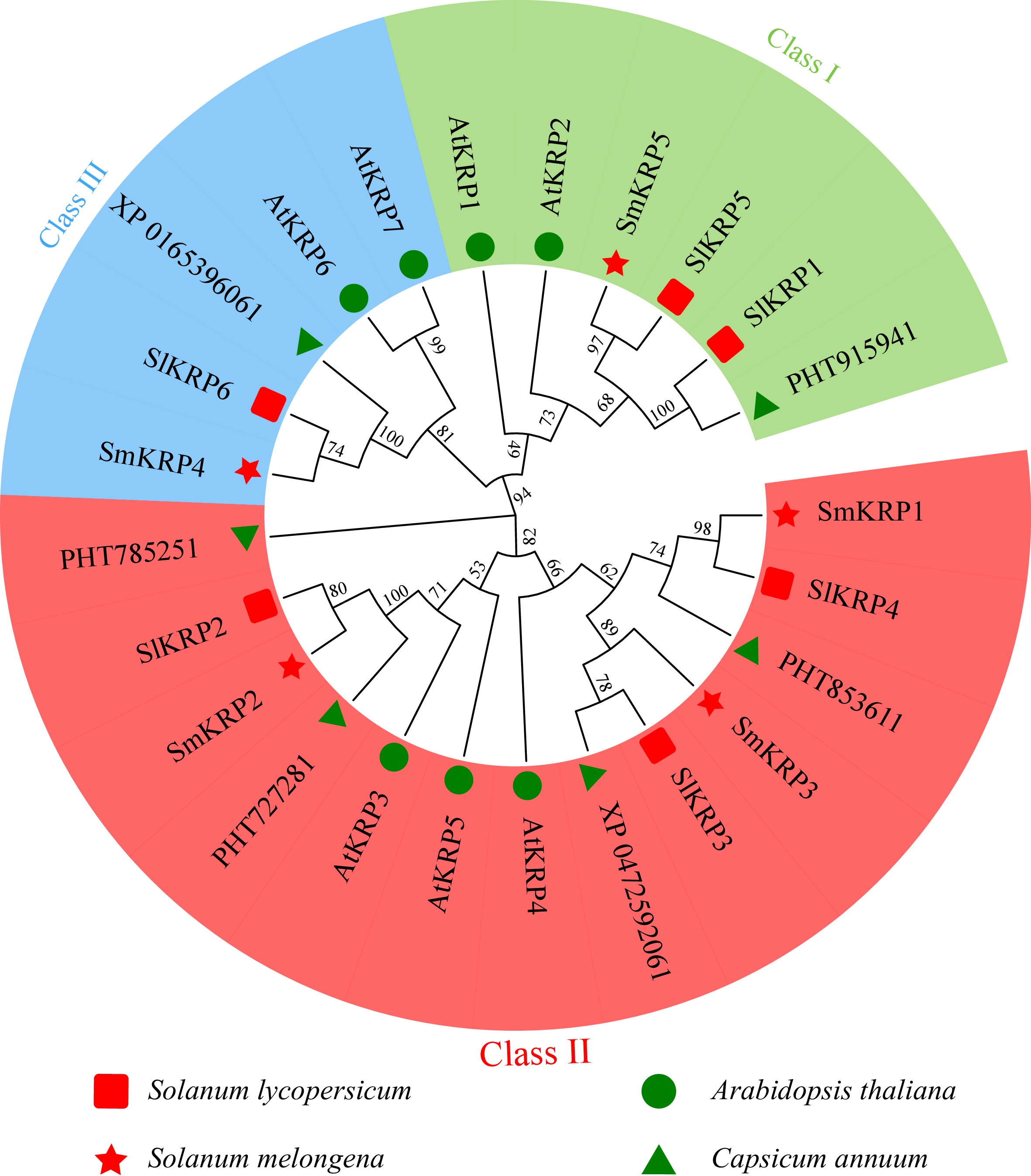 Genome-wide identification of Kip-related protein (KRP) gene family ...