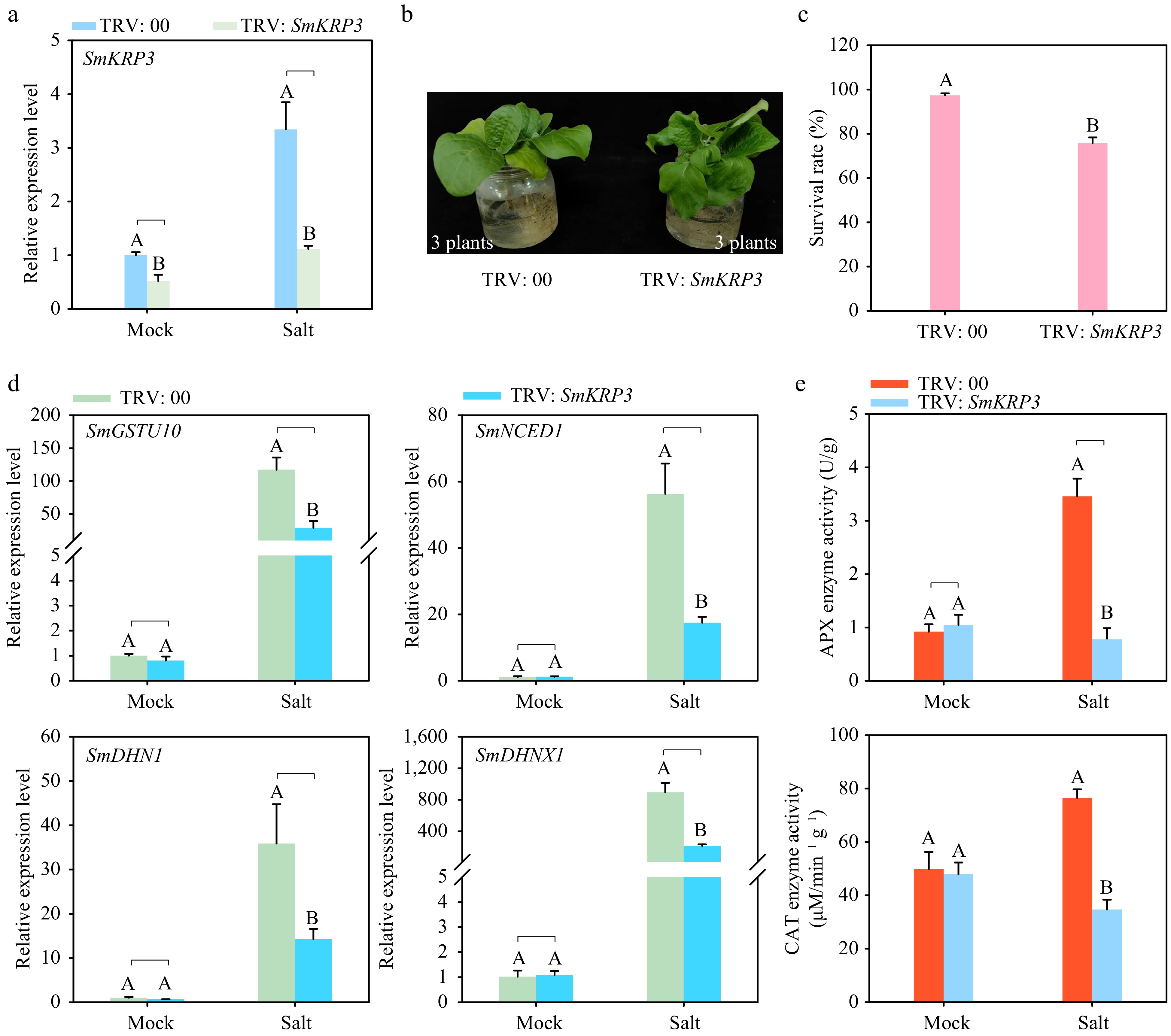 Genome-wide identification of Kip-related protein (KRP) gene family ...