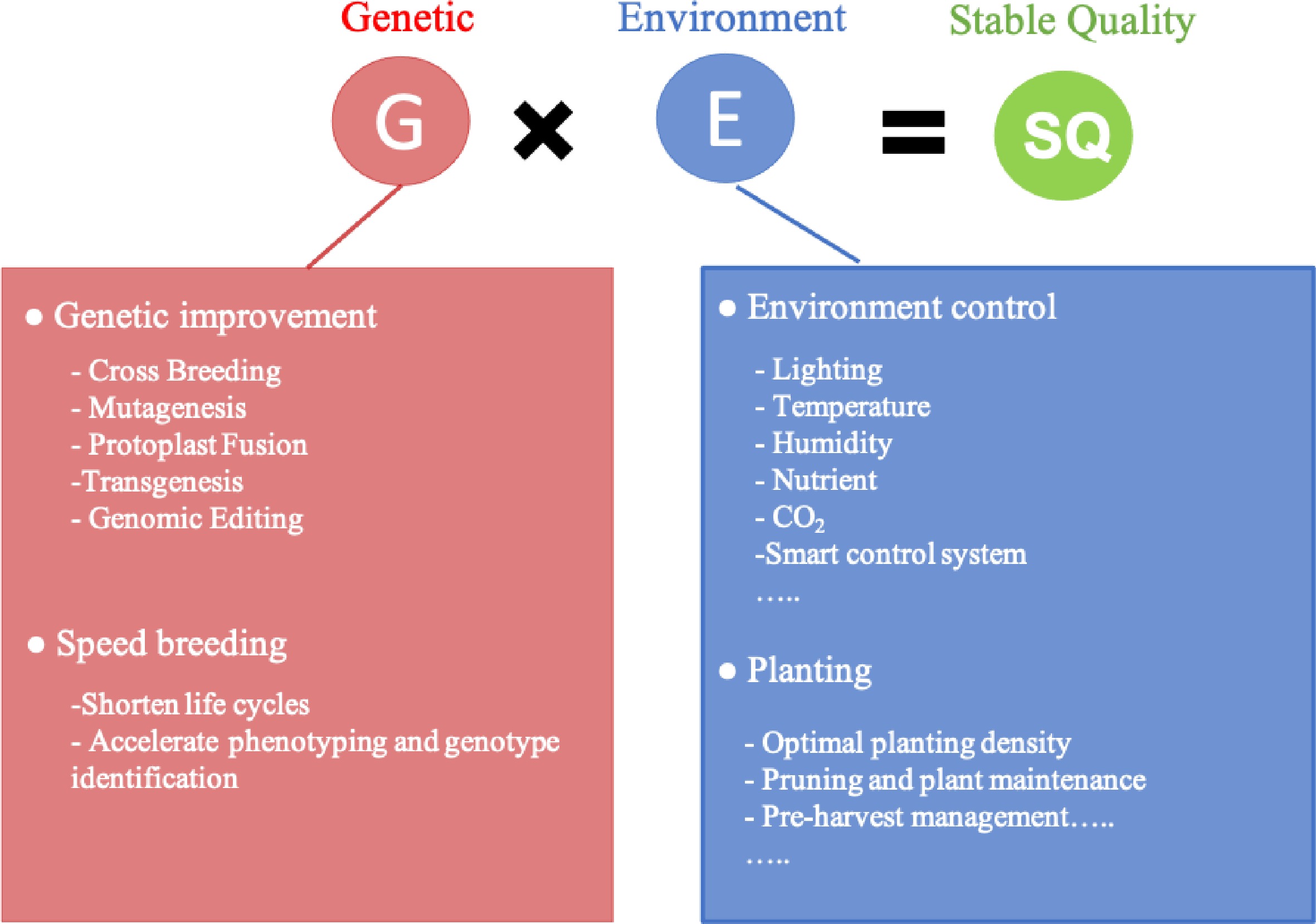 Plant factory technology as a powerful tool for improving vegetable ...