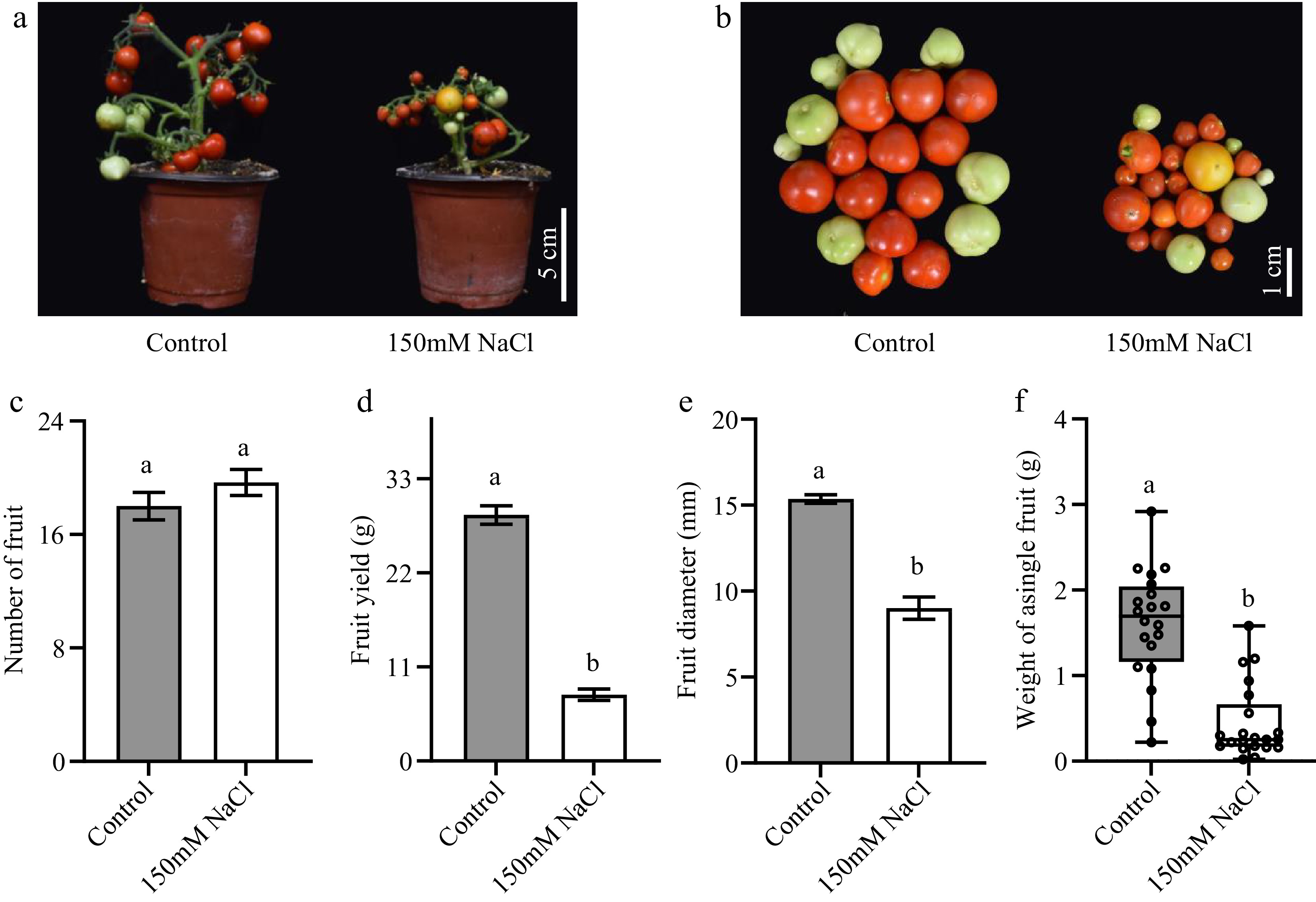 Salt Stress Induces SFT Expression to Promote Early Flowering and ...