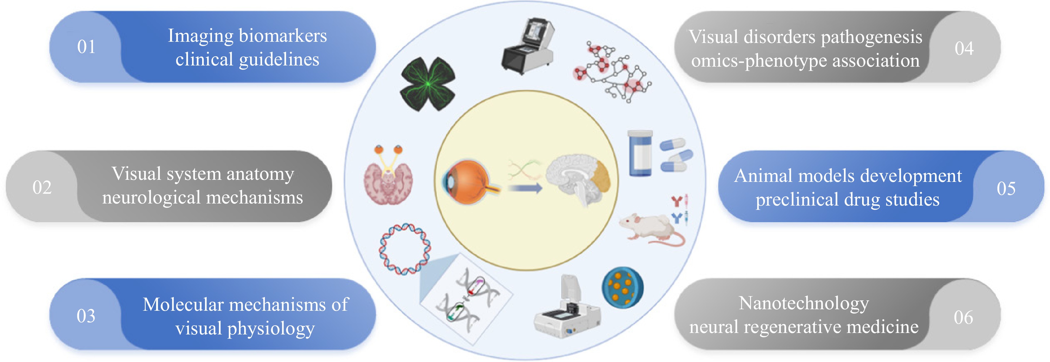 Advancing visual neuroscience expanding boundaries from bench to bedside