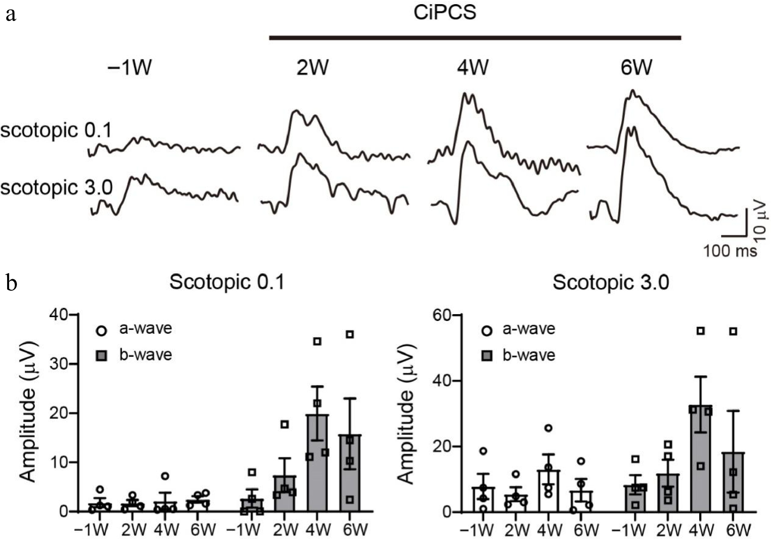 Immunosuppressant-free photosensitivity rescue of mnu-injured mice ...