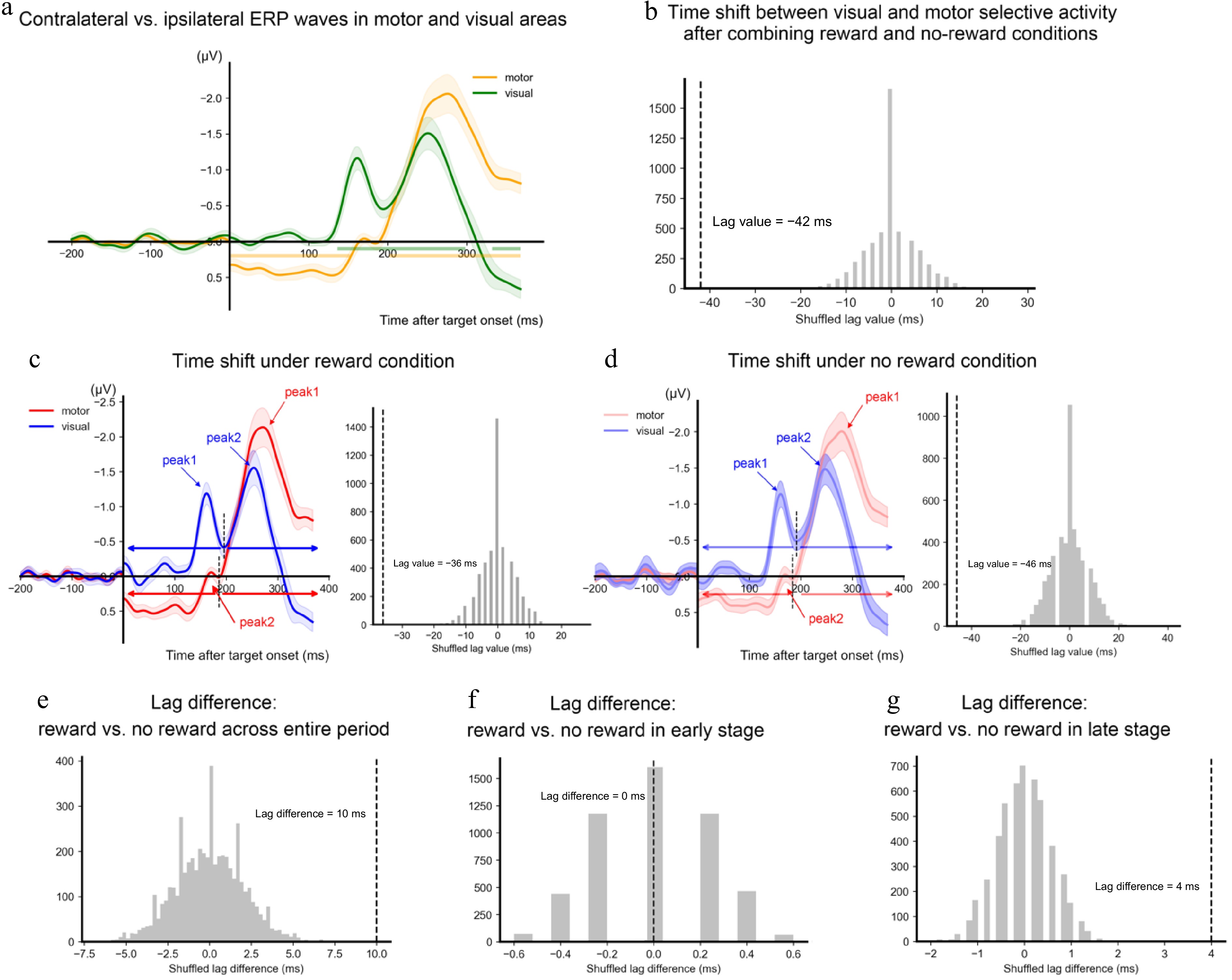 Active action selection in reward-modulated visual perception