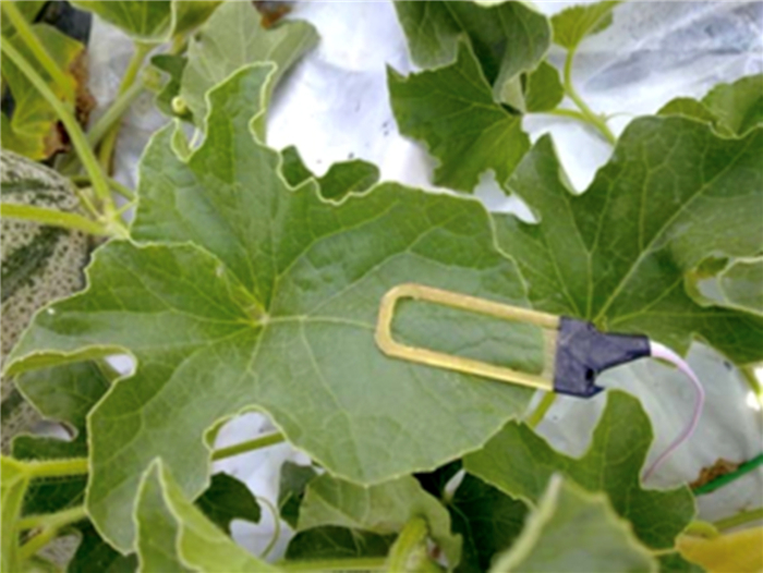 Leaf compatible "eco-friendly" temperature sensor clip for high density ...