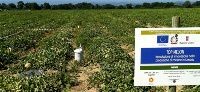 Leaf compatible "eco-friendly" temperature sensor clip for high density ...